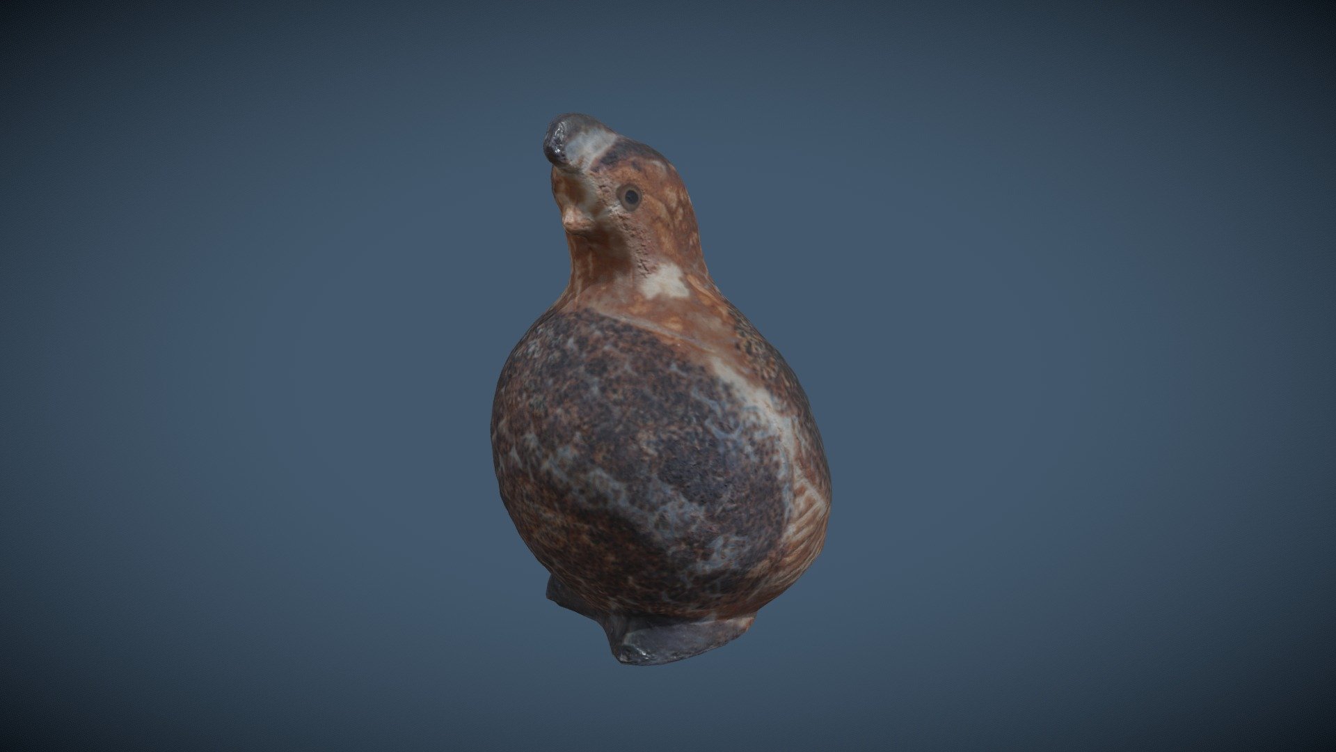 Quail Photogrammetry - Download Free 3D model by Danielle ...