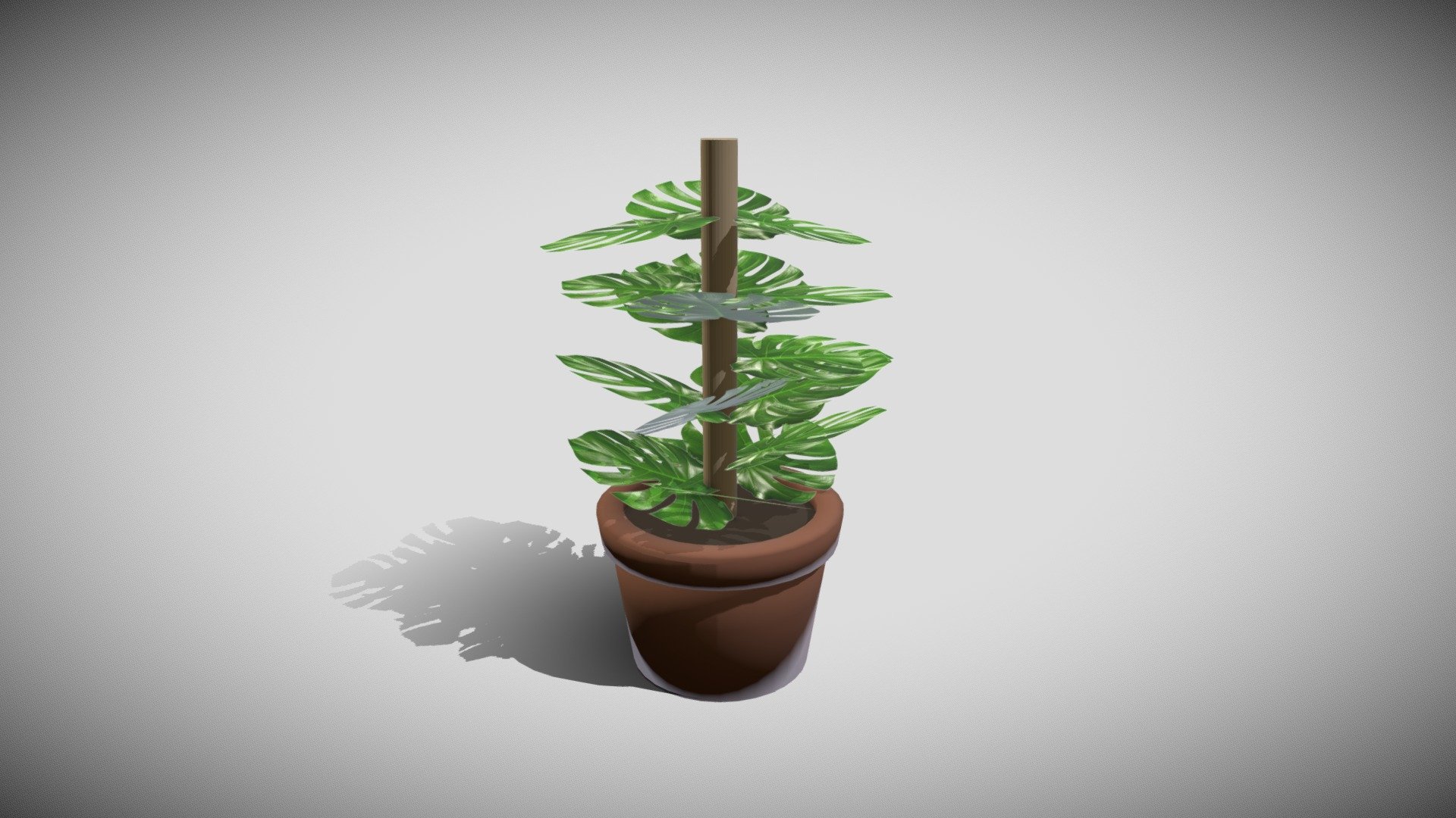 Plant - 3D model by Alysia (@aly.s5) [e5ac01f] - Sketchfab