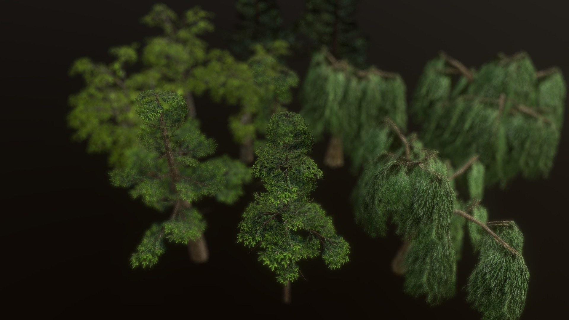 Lowpoly alpha trees - 3D model by TiaDalma [e5b278a] - Sketchfab