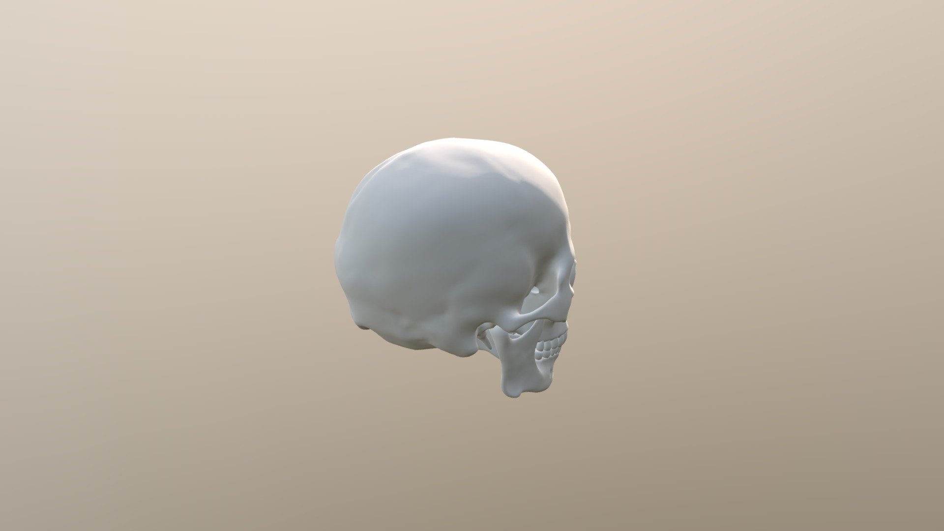 Calavera - FBX from Maya - 3D model by JFK Numbers (@JFK_Numbers ...