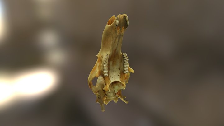 Merge 3D models - Sketchfab