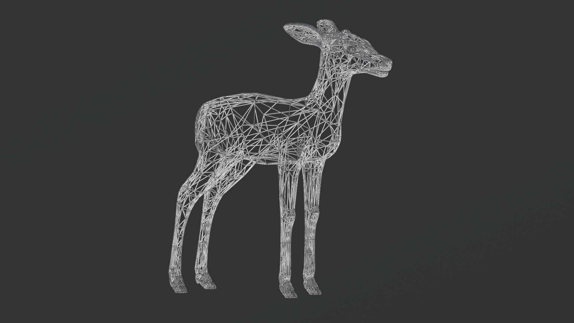 DEER WIREFRAME - Buy Royalty Free 3D model by DTA DESIGN STUDIO ...