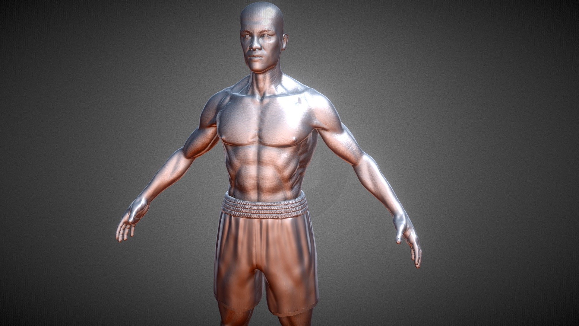 Bruce lee v1 - 3D model by GameDeveloperBR (@mchornet) [e5bff48 ...
