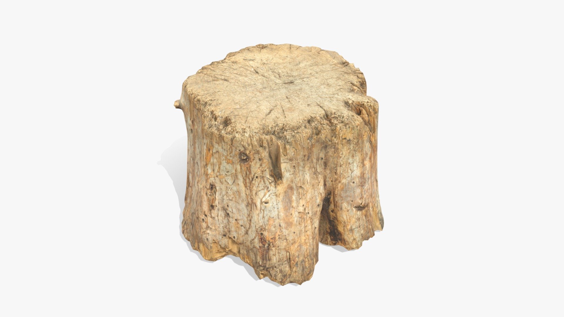 Log Round Big - Buy Royalty Free 3D model by realnothing [e5c2eb0 ...