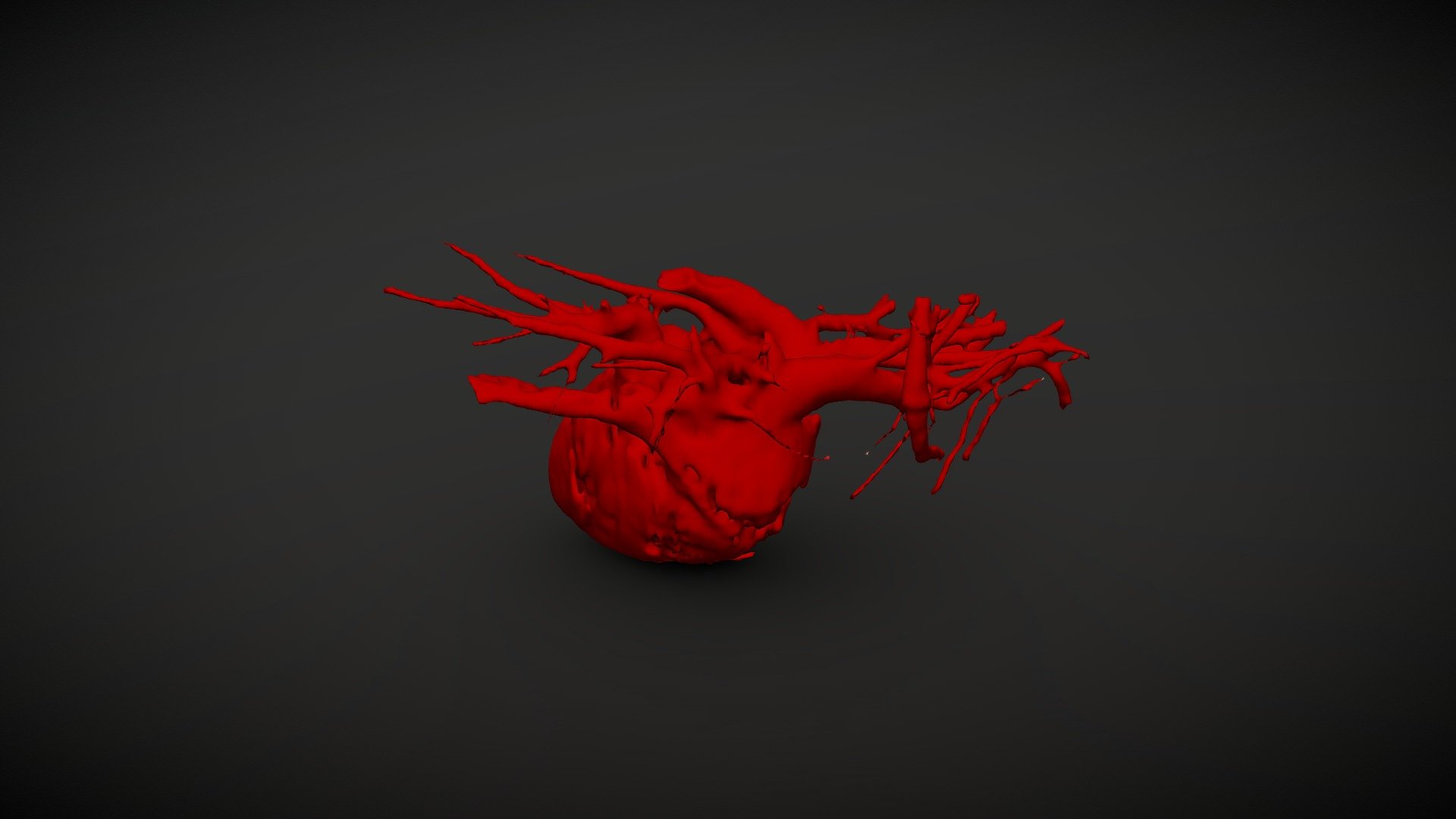 Abnormal Canine Heart - Download Free 3D model by atugman [e5c53b7 ...