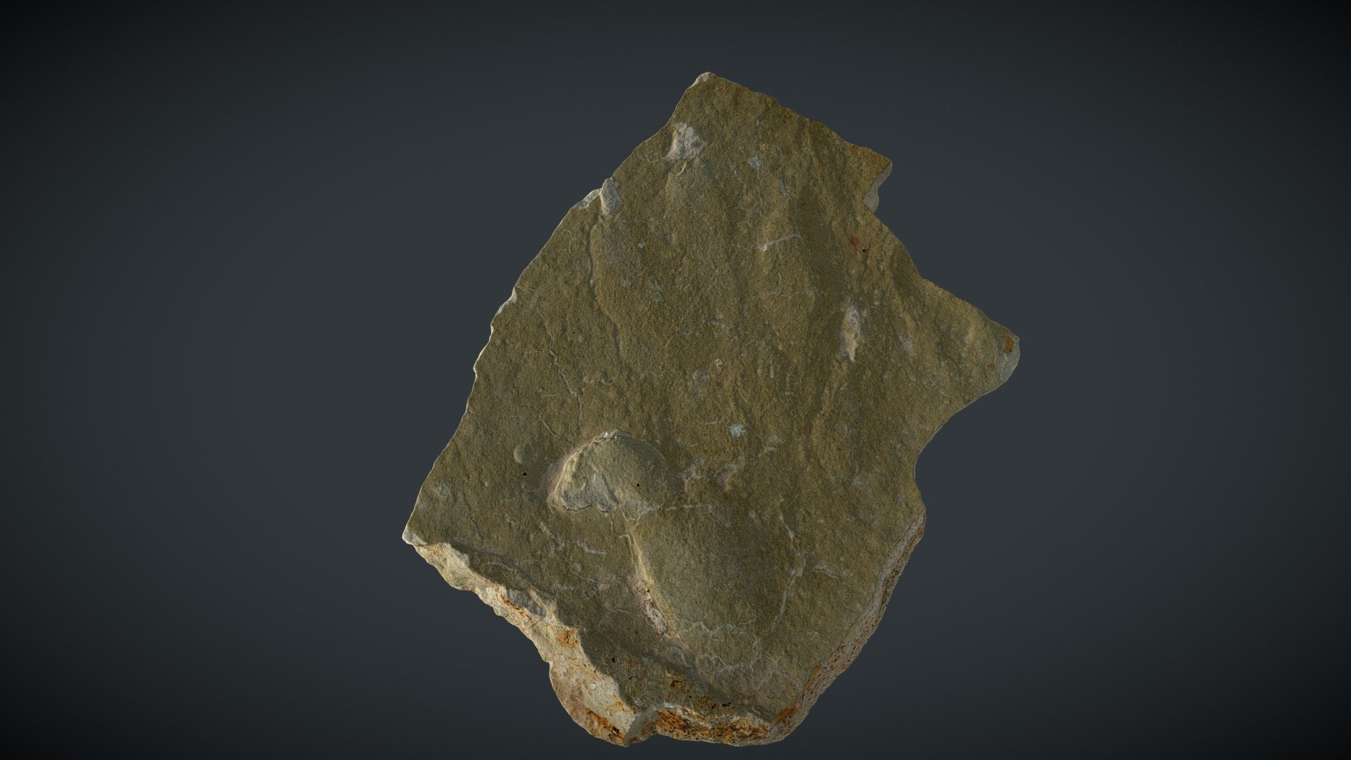 Chirotherium Footprint with skin texture - 3D model by ThinkSee3D ...