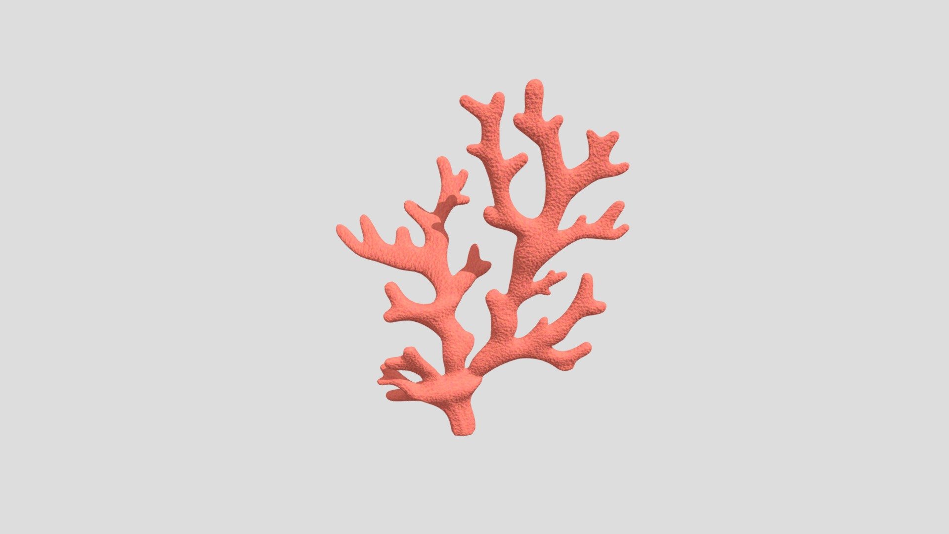 Coral - 3D model by Ian Scheepers (@Ian_Scheepers) [e5c8082] - Sketchfab