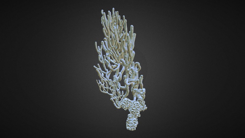 Oculus Medium - Coral - Download Free 3D model by Michael Campagnaro ...