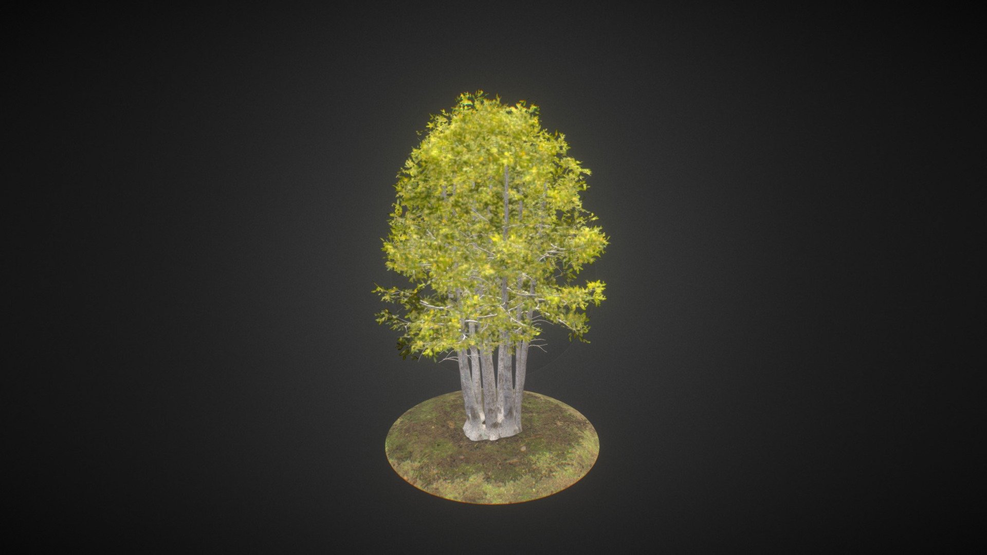 Elder ENT Queule19 Replica - 3D model by endangeredtokens [e5d2c6f ...