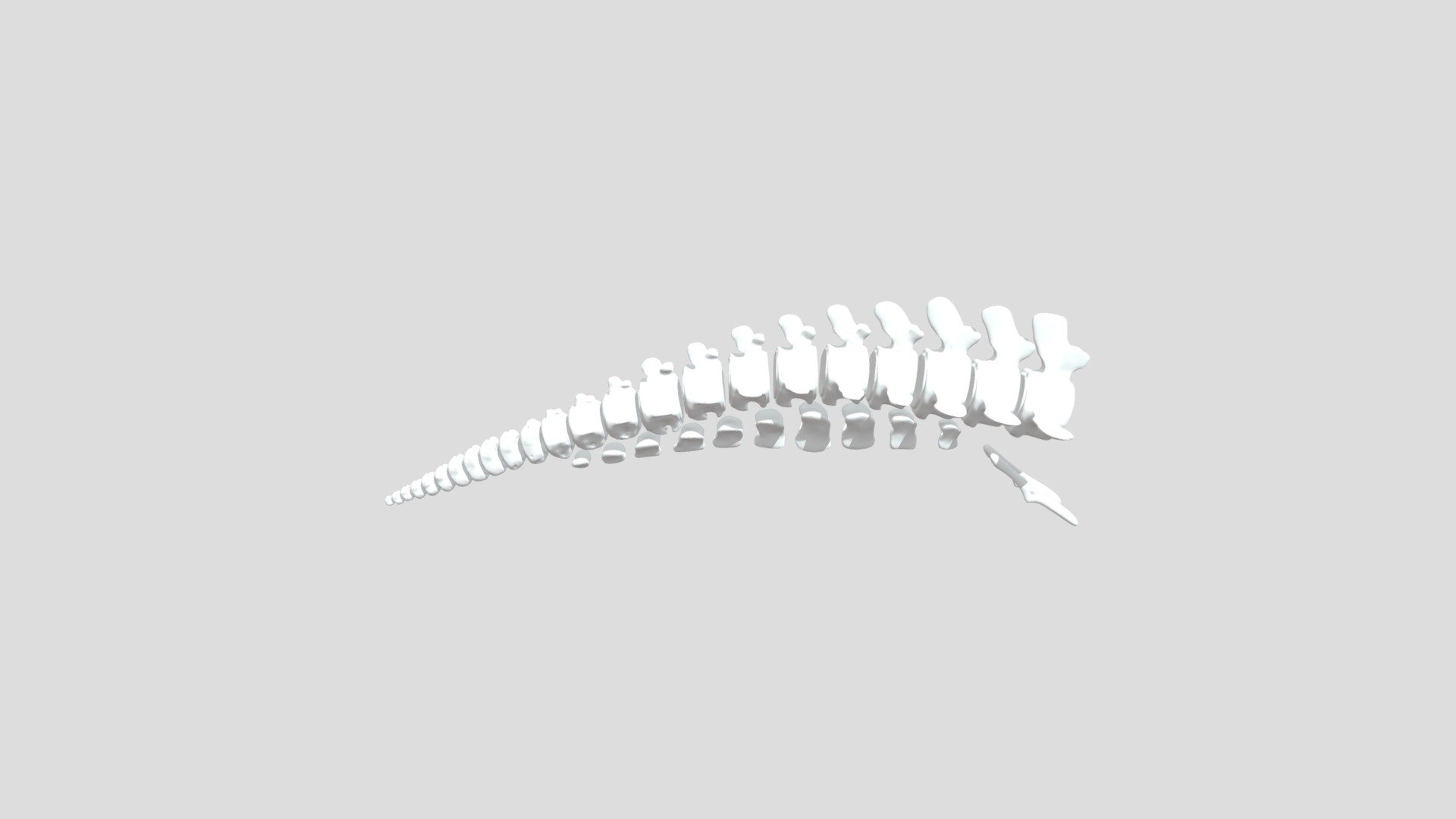 Gw Tail - 3D model by dajeong [e5dd2ac] - Sketchfab