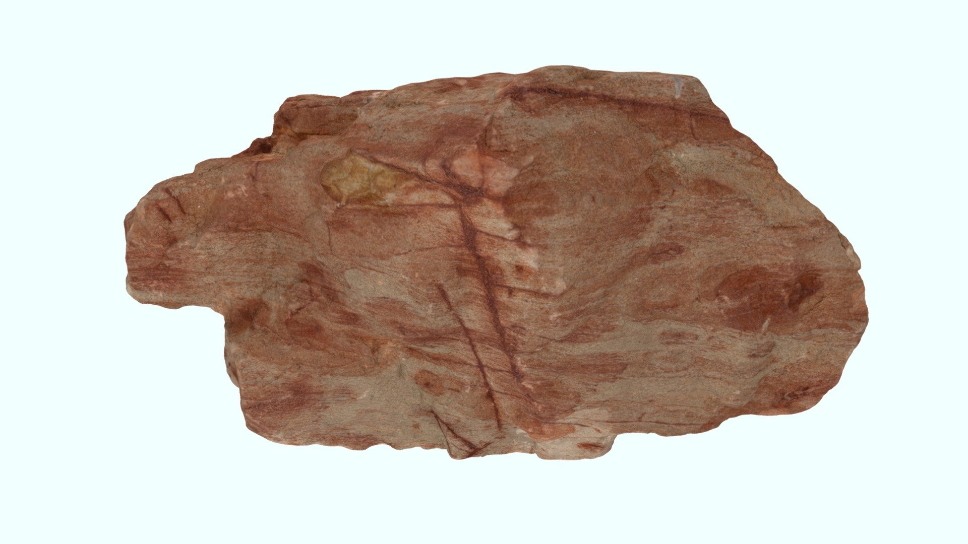 Siltite marmorisée - Download Free 3D model by Ecole Nationale ...