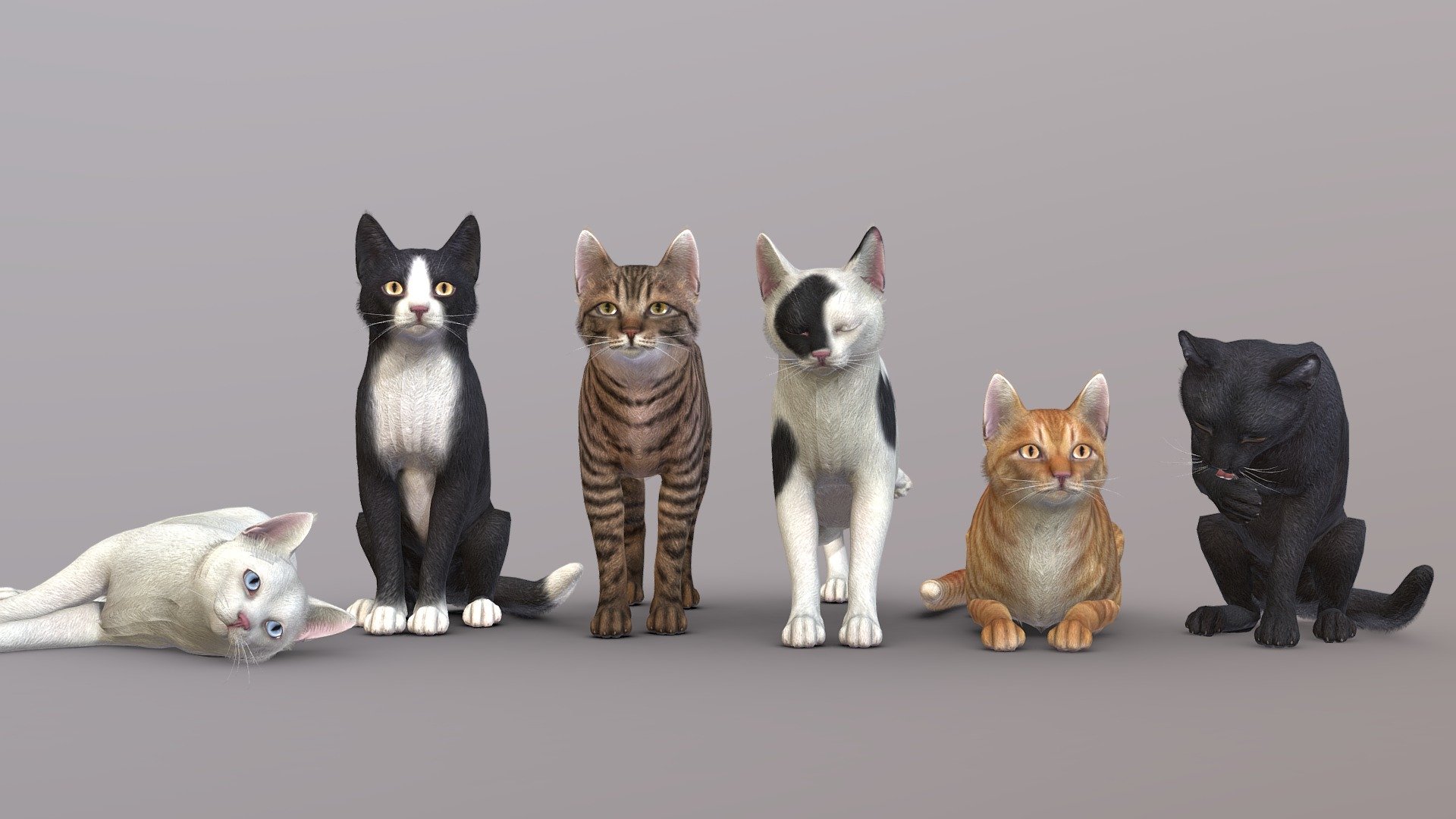 Simple Cats - 3D model by RedDeer (@billl90) [e5e3384] - Sketchfab