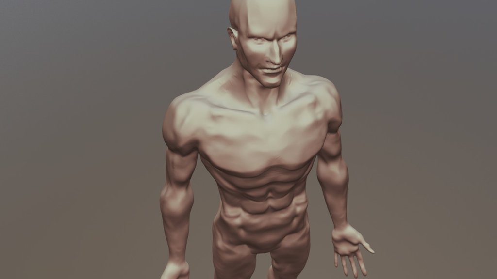 Man Anatomy - 3D model by eduardolprota [e5e3454] - Sketchfab