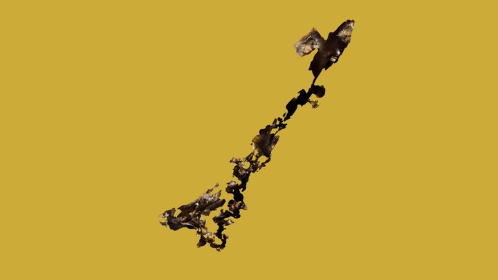 1scanaweek 3D models - Sketchfab