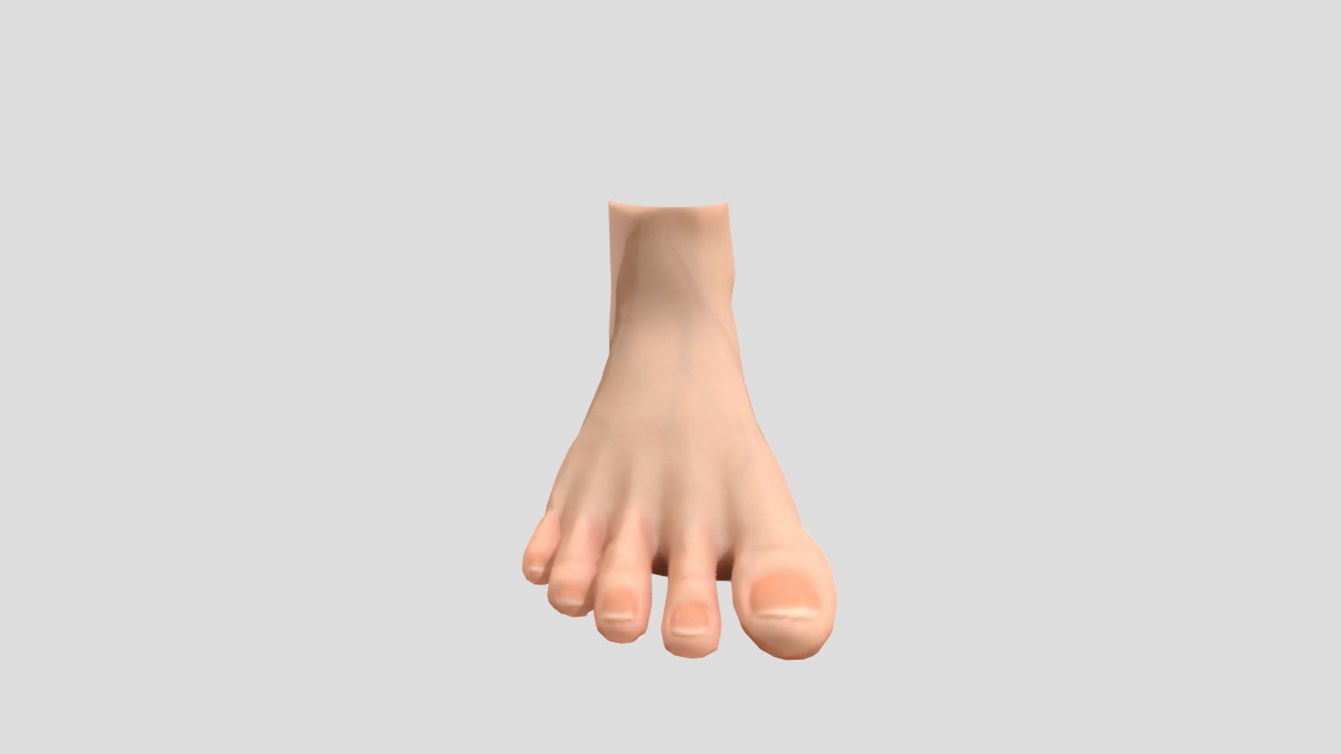 Foot Model - 3D model by Aine Keohane (@ainekeohane) [e5f1403] - Sketchfab