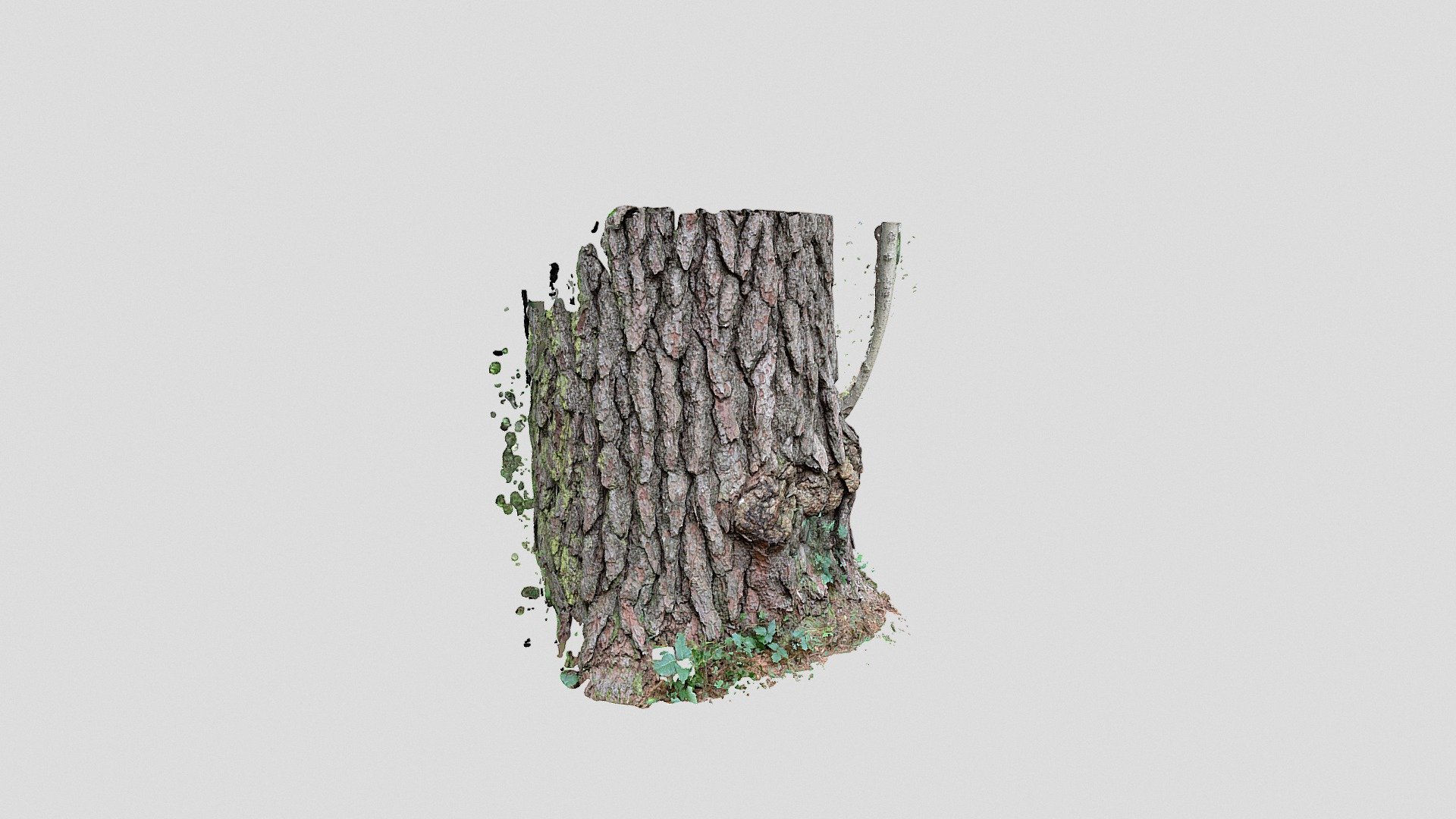 tree 2 - 3D model by jchaplin [e5faf70] - Sketchfab