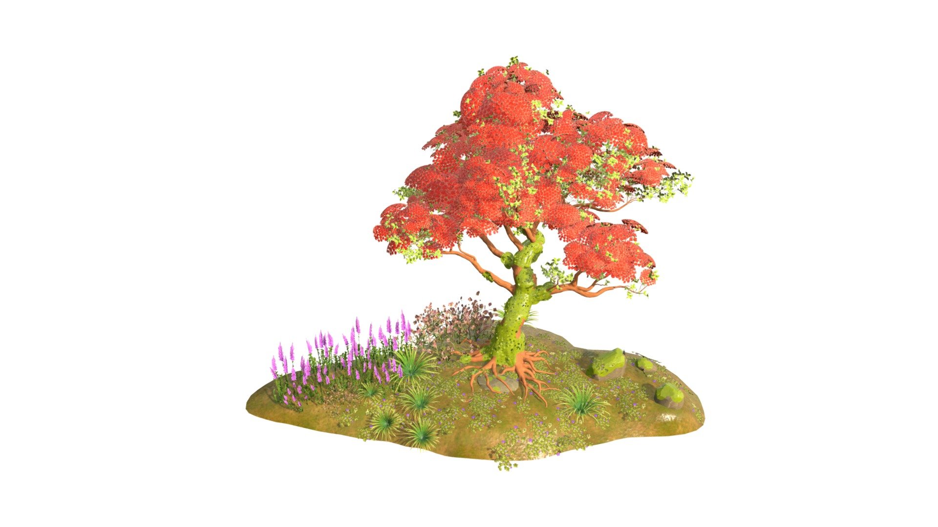 Flowering Royal Poinciana Tree - Buy Royalty Free 3D model by hkhalif ...