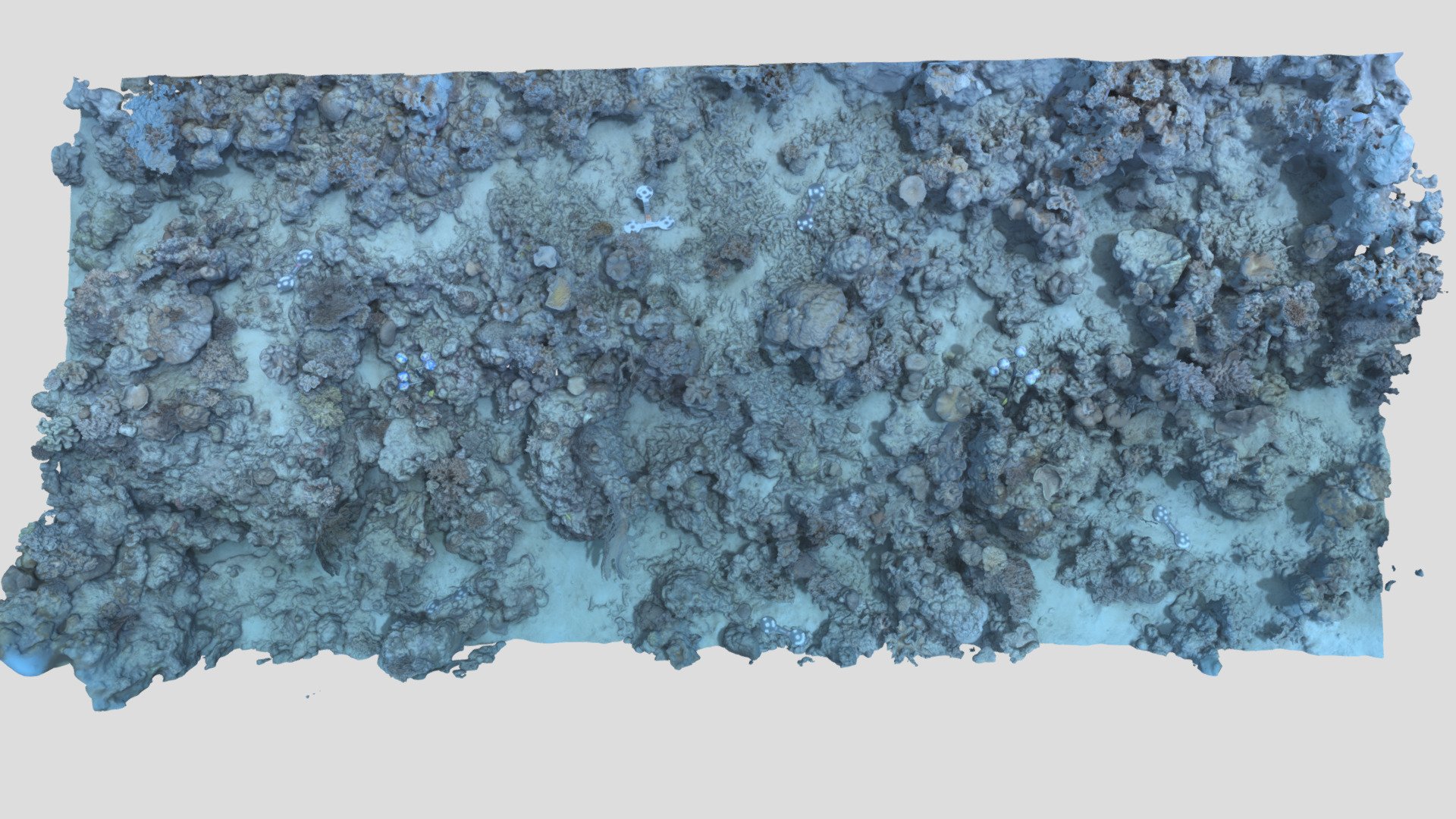 Masig_FR1D_P3_202104 - Download Free 3D model by EcoRRAP (@AIMSEcoRRAP ...