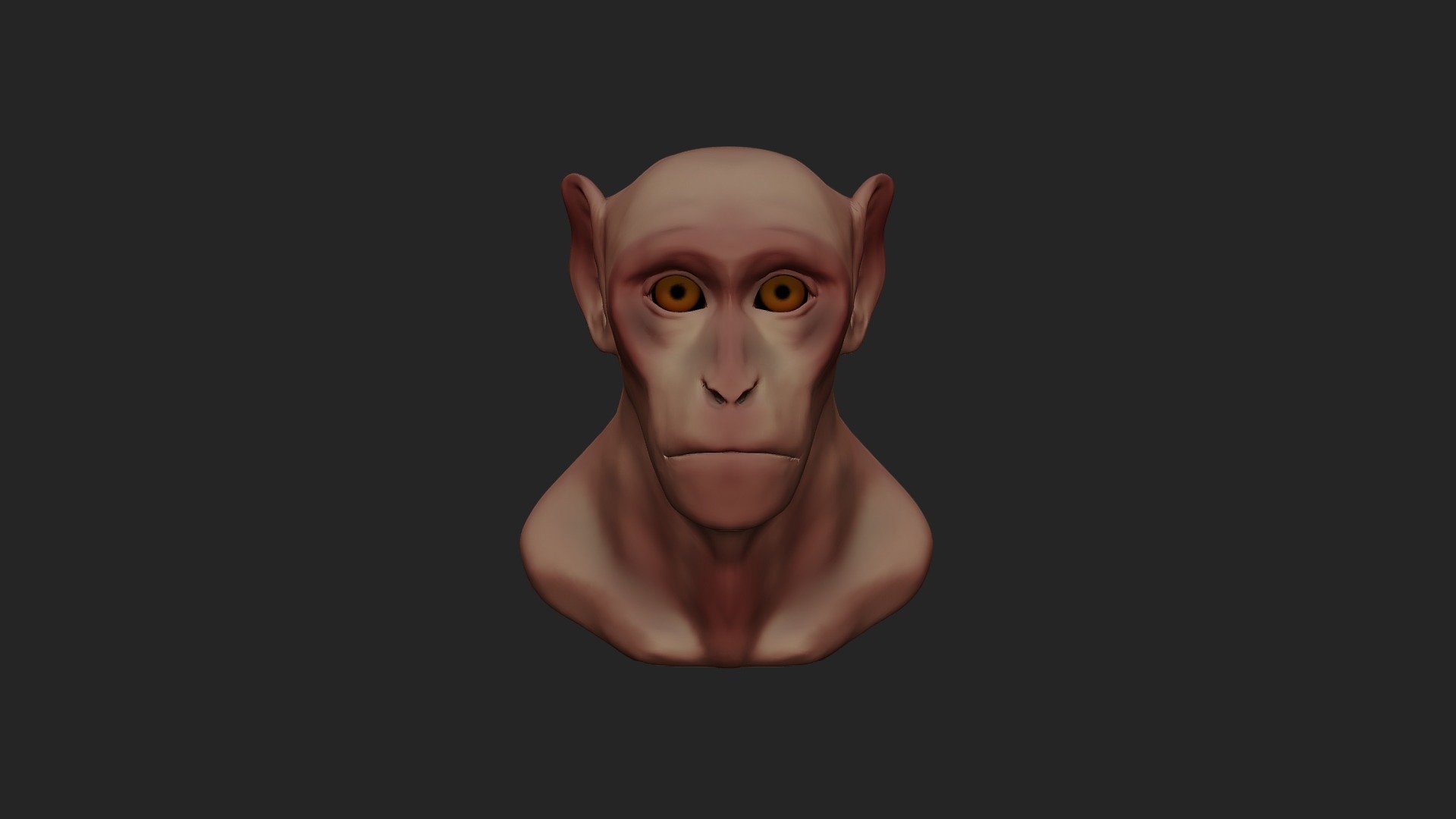 Rhesus Macaque (Jess RT) - 3D model by JessicaRT [e5ffb72] - Sketchfab