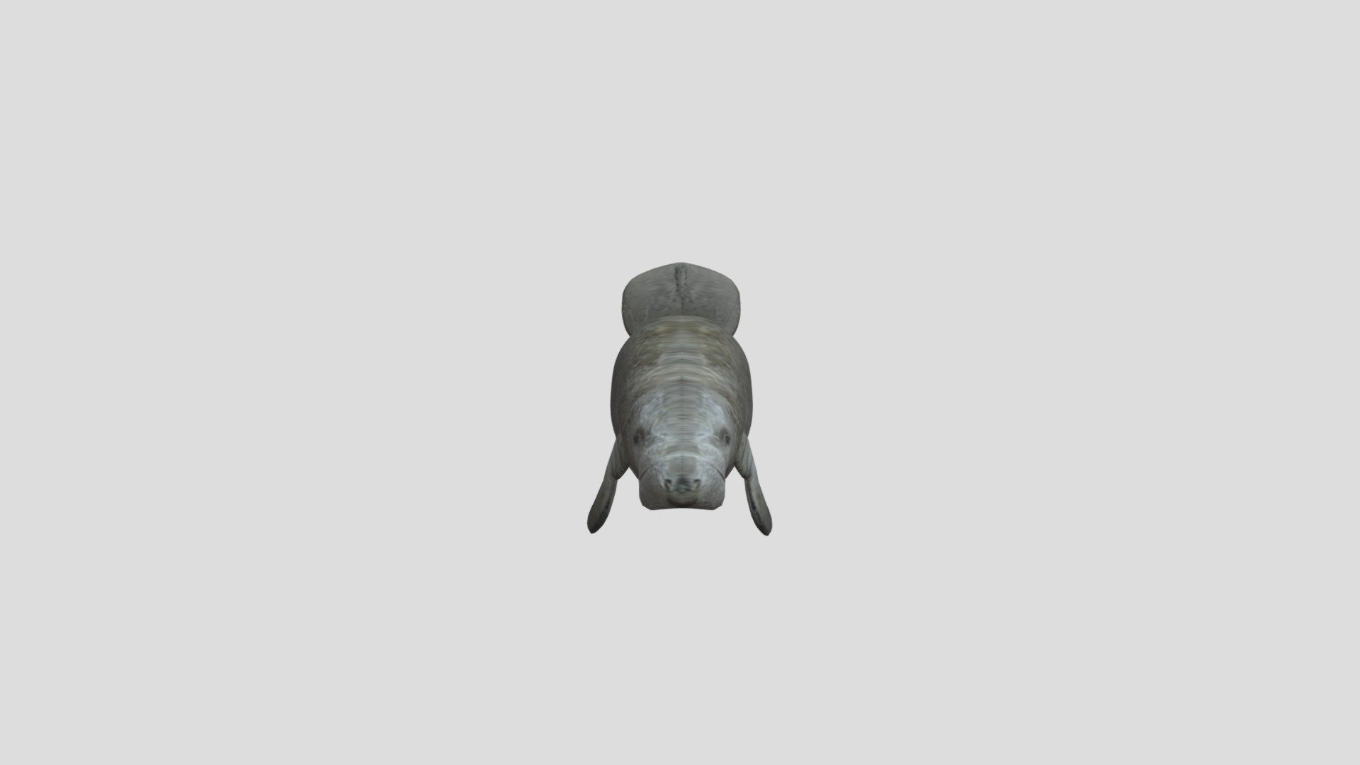 Manati_ Antillano - Download Free 3D model by ivan.geraldo [e603400 ...