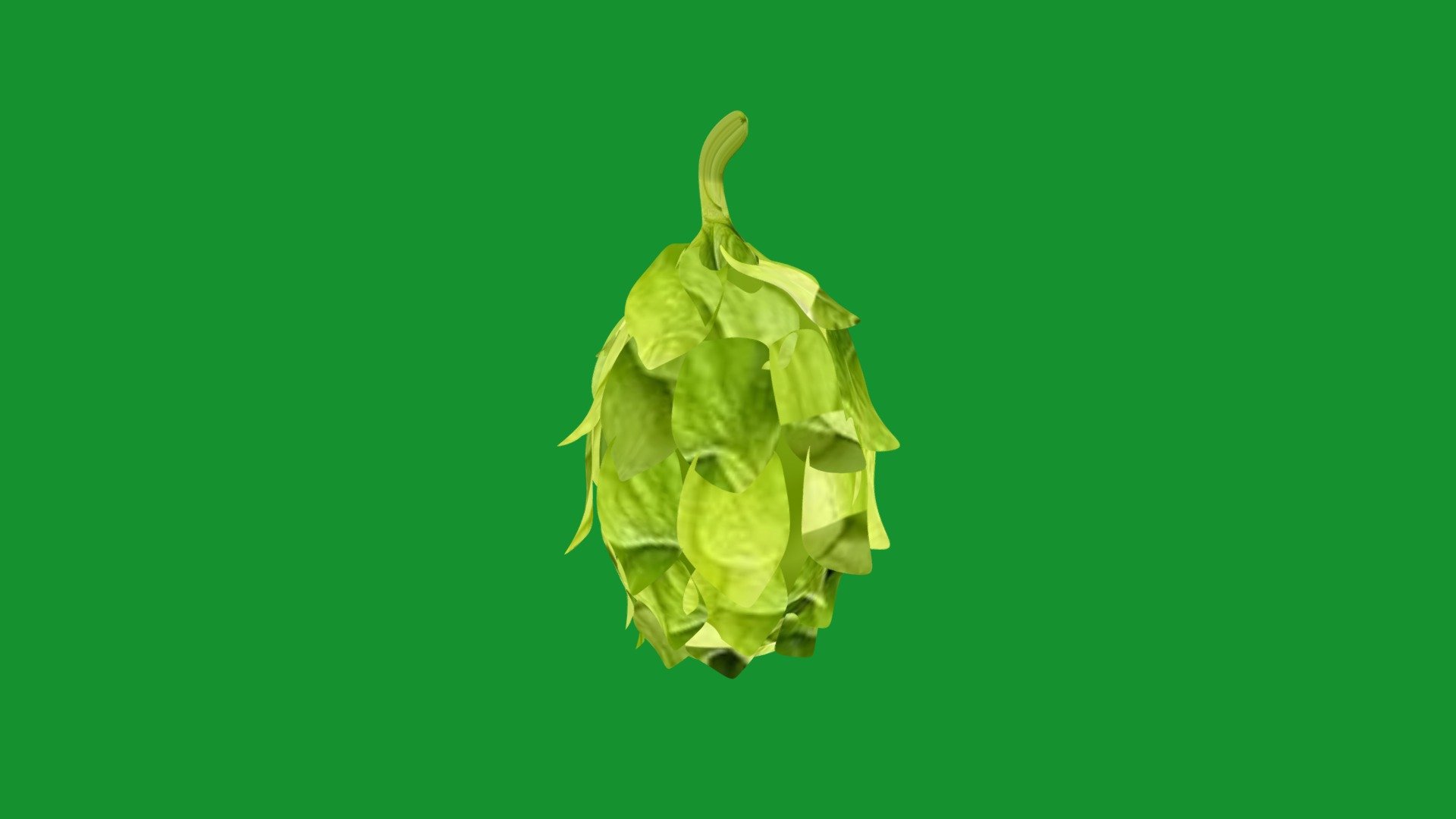 Beer Hop - 3D model by Joseph Njoroge (@mjoro) [e6085af] - Sketchfab