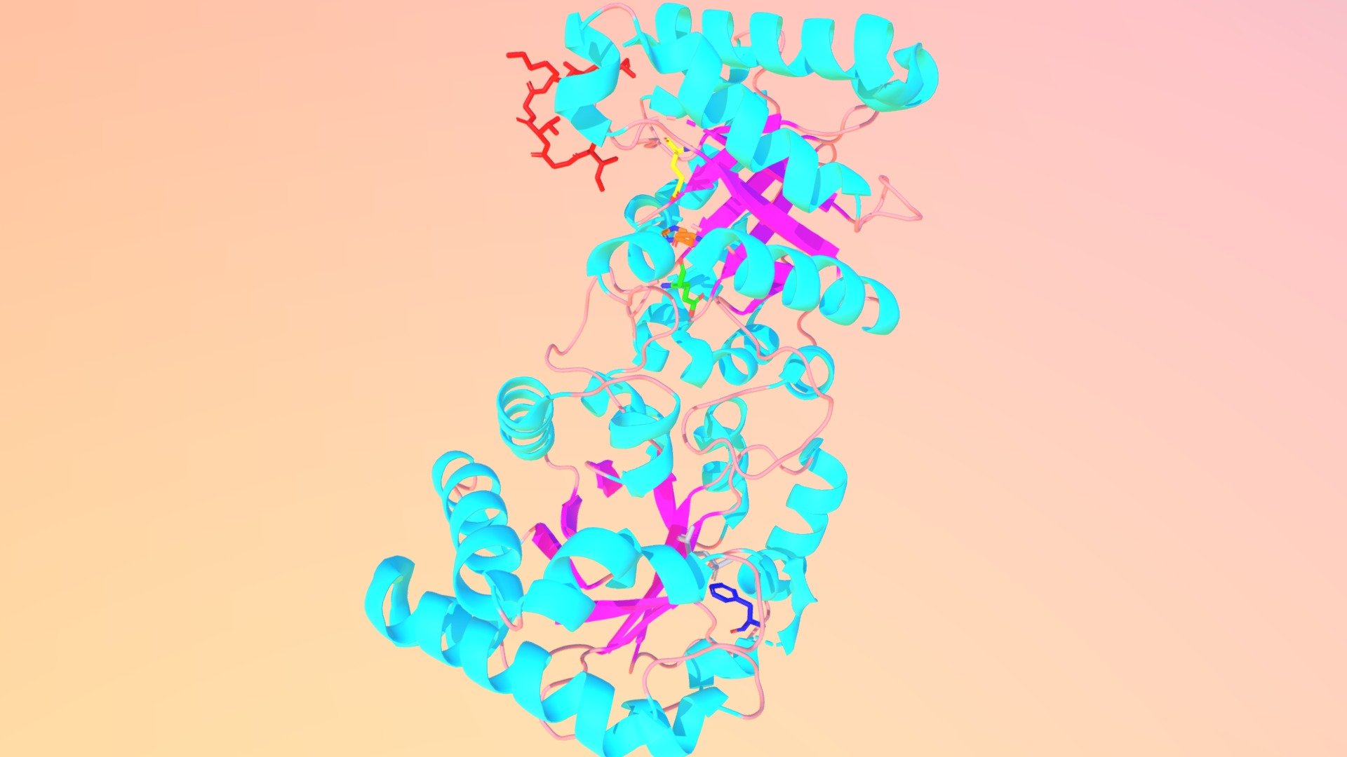 BIOL244 TPI1 - Rainbow Road - 3D model by Courtney Wilton (@biolwilton ...