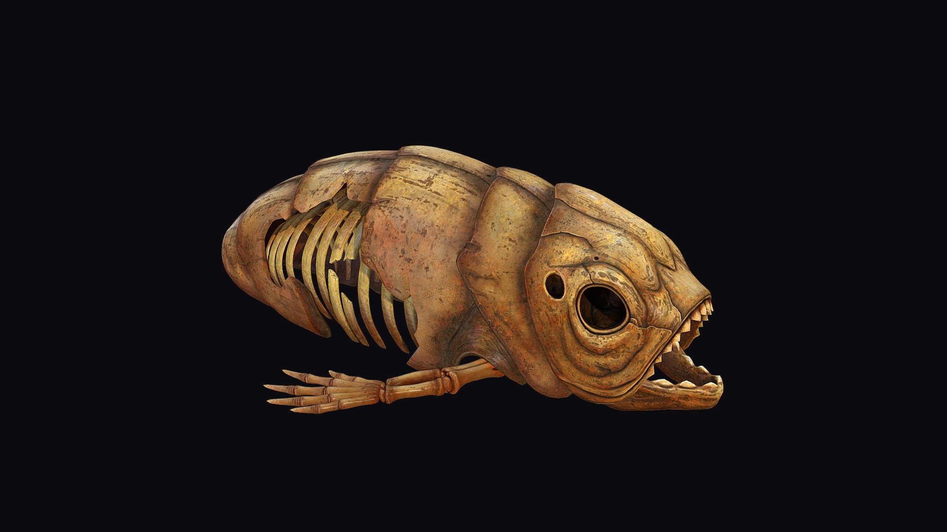 Lost_river_fish_skeleton - 3D model by Fox3D [e60d664] - Sketchfab