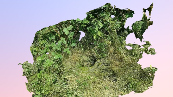 Wayside 3D models - Sketchfab