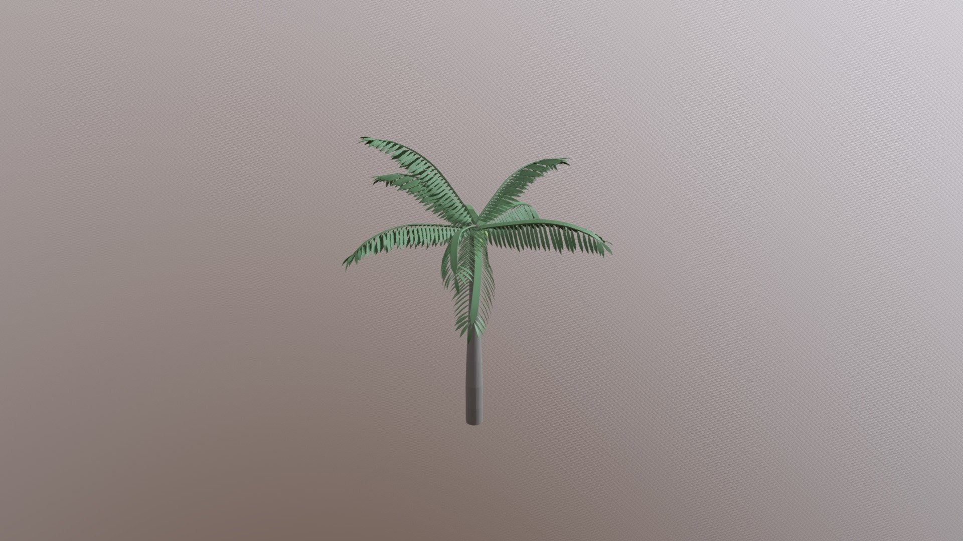 Coconut Tree - Download Free 3D model by Ponita48 [e614b99] - Sketchfab