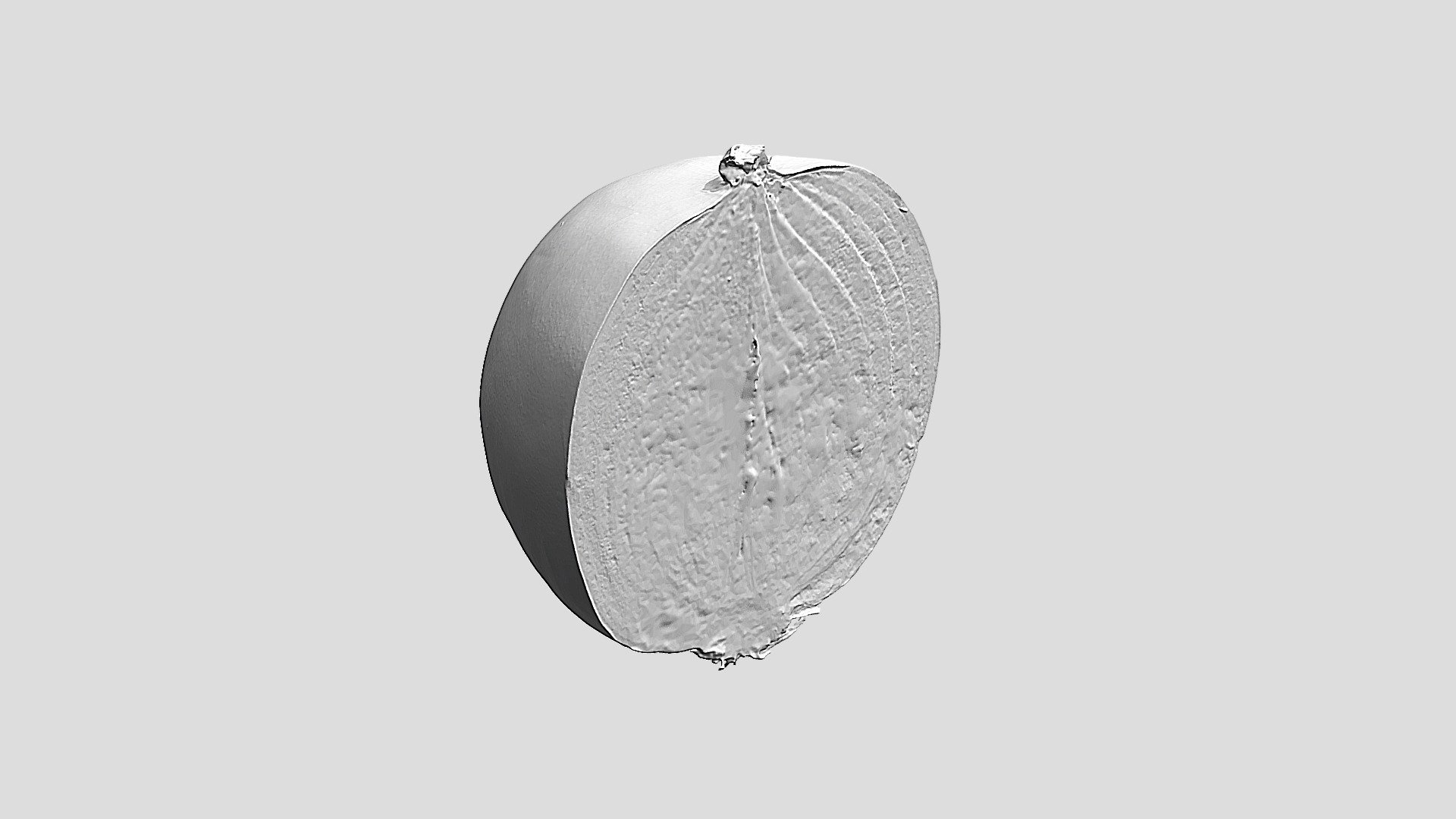 Sliced Onion - Ultra-Realistic 3D Print Model - Buy Royalty Free 3D ...