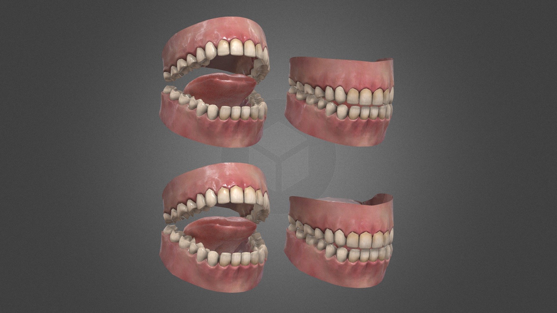 Teeth and tongue - Buy Royalty Free 3D model by Di_ma_st [e619fd3] - Sketchfab Store