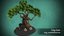 Fantasy Tree - Download Free 3D model by Shadowfang22 [e61a038] - Sketchfab