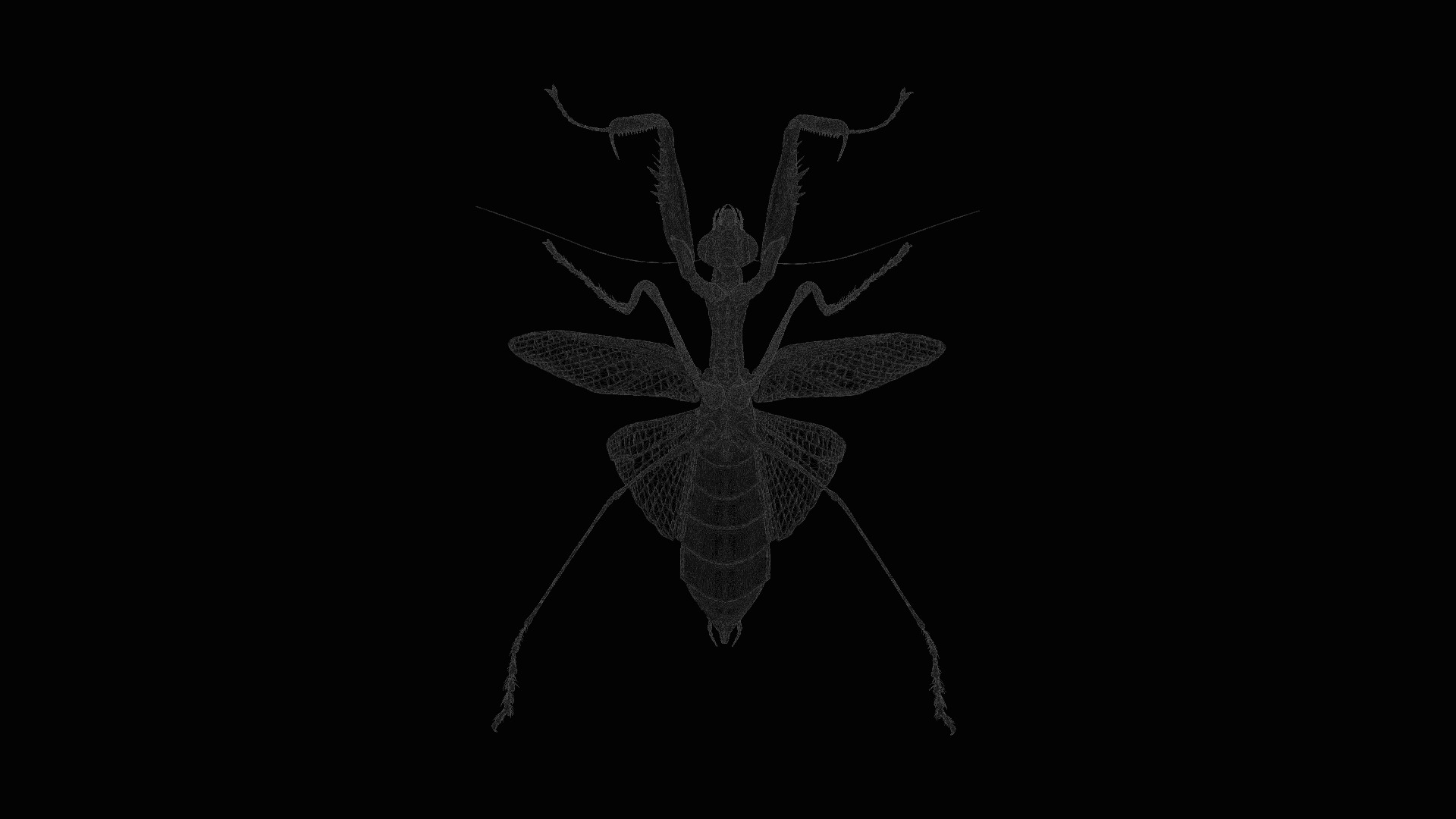 Mantis - 3D model by Kristian (@kristiant) [e61ab70] - Sketchfab