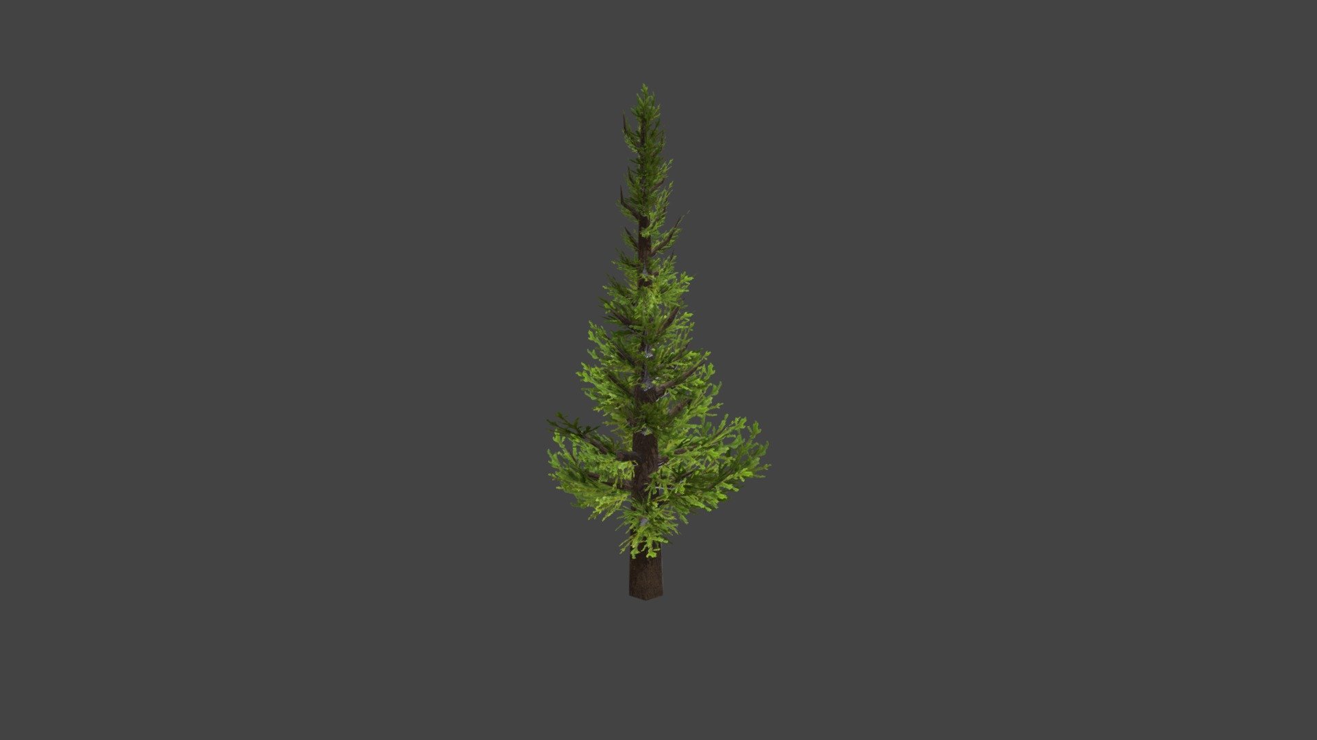 Pine Tree - Download Free 3D model by Thomas Gilpin (@thomasgilpin ...