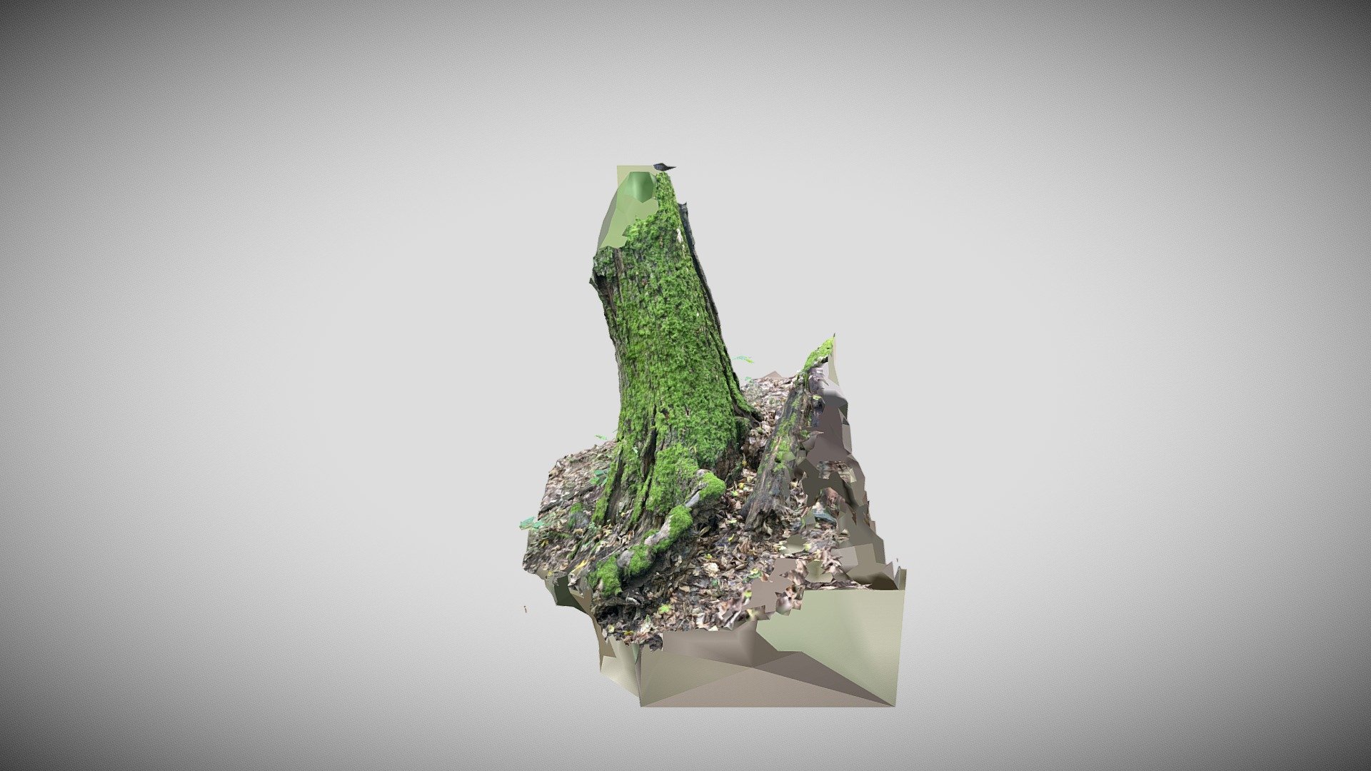 Mossy Tree - Download Free 3D model by conflig [e61f86a] - Sketchfab