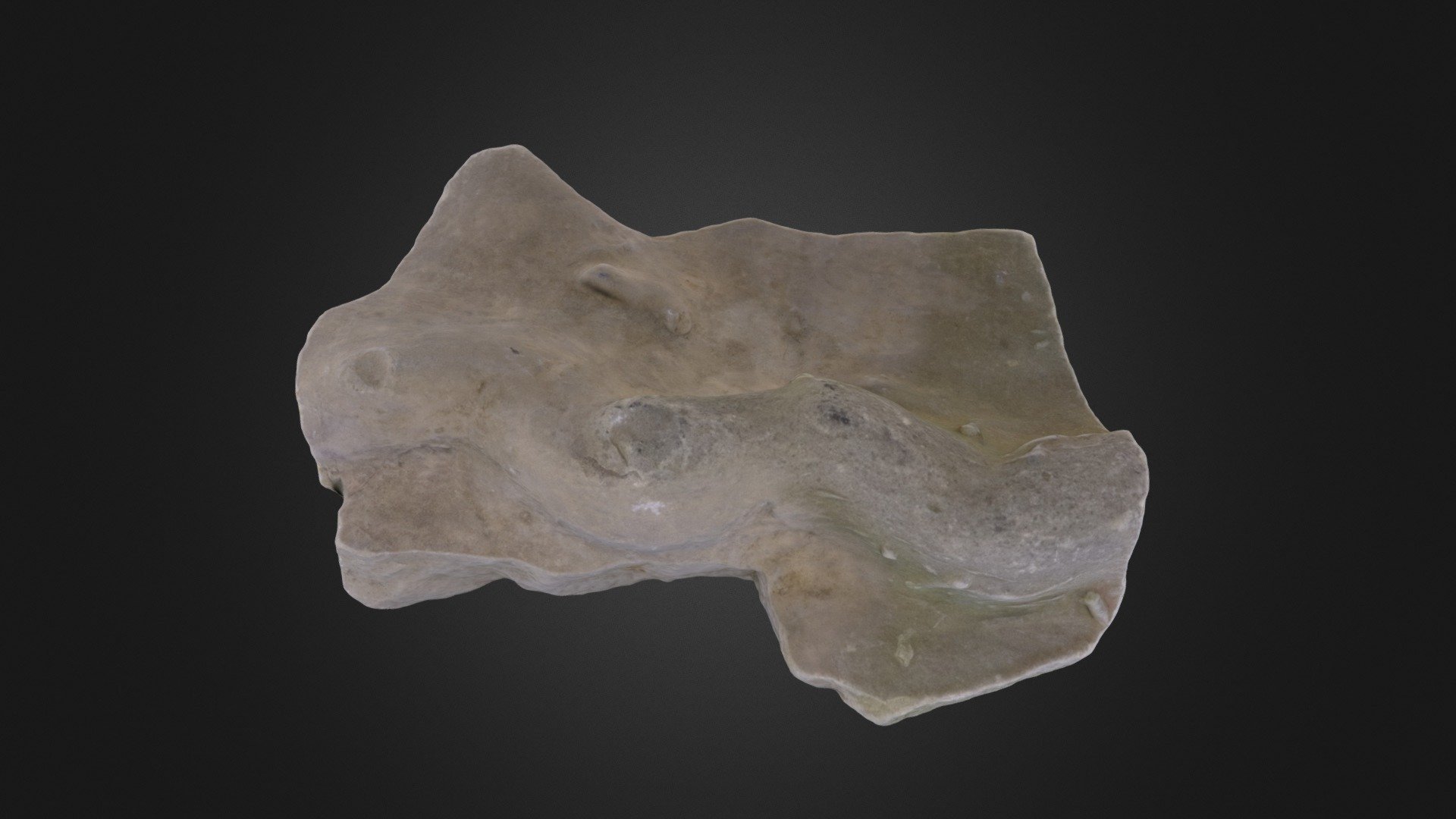 Flute Cast - Download Free 3D model by Digital Atlas of Ancient Life ...