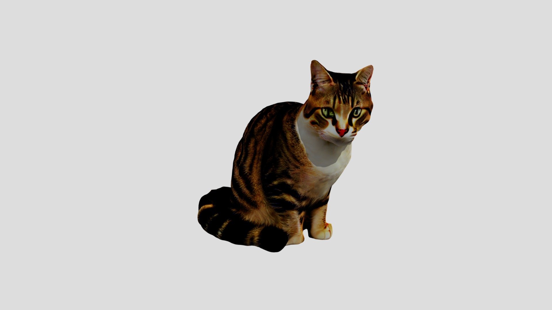 Cat - Download Free 3D model by ylabo0717 [e64504a] - Sketchfab
