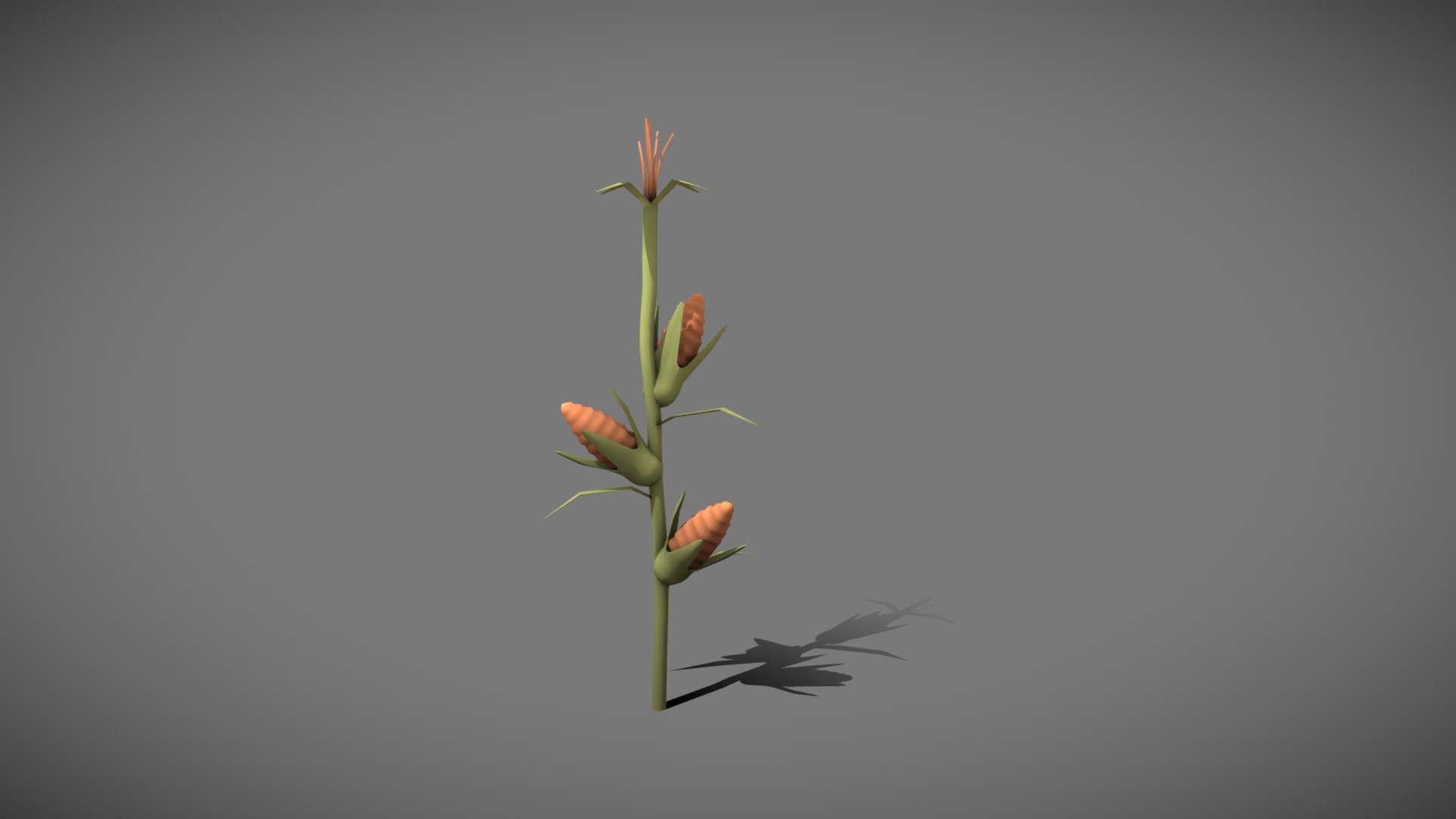 Corn Stalk - Buy Royalty Free 3D model by Team-Panda [e648a58 ...