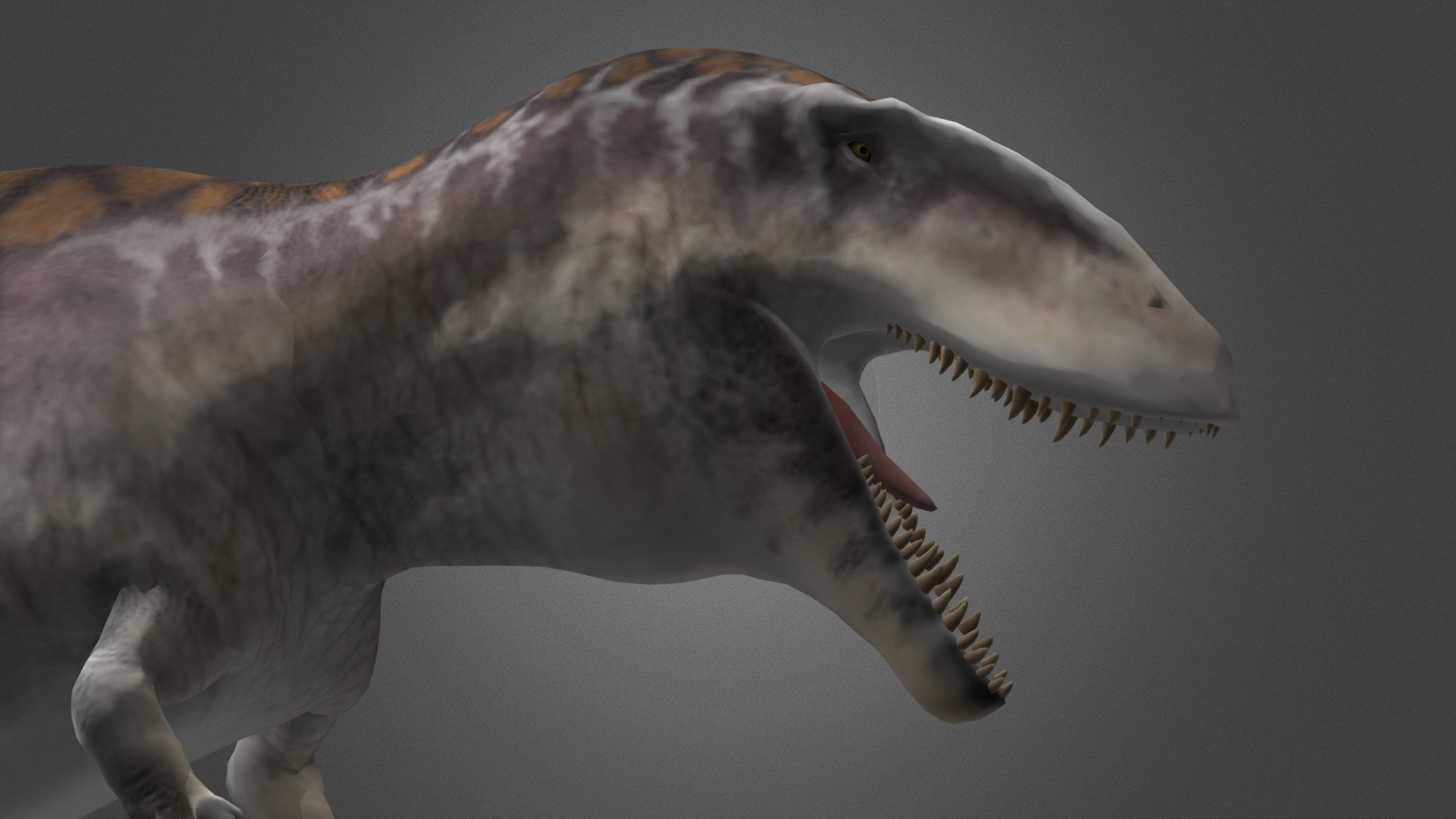 Carcharodontosaurus - 3D model by Gigan_FK (@ericksalinasr07) [e648cf9 ...