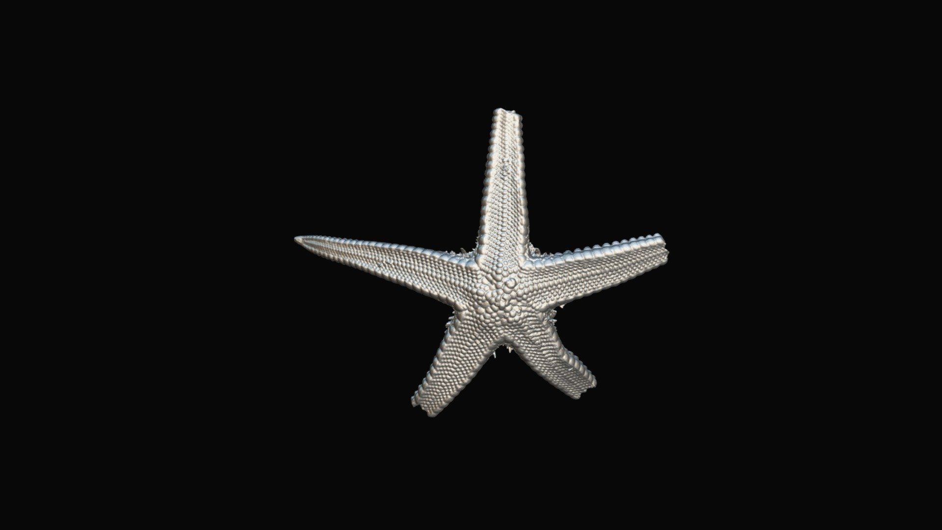 Starfish - Download Free 3D model by Thunk3D 3D Scanner (@Lily.Qin1 ...