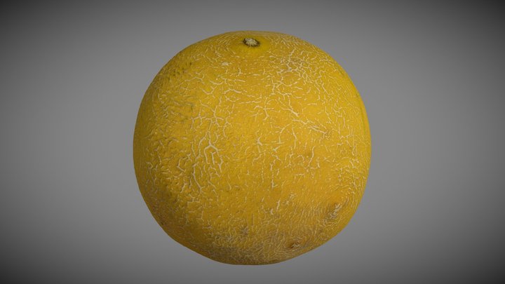 Melon 3D models - Sketchfab
