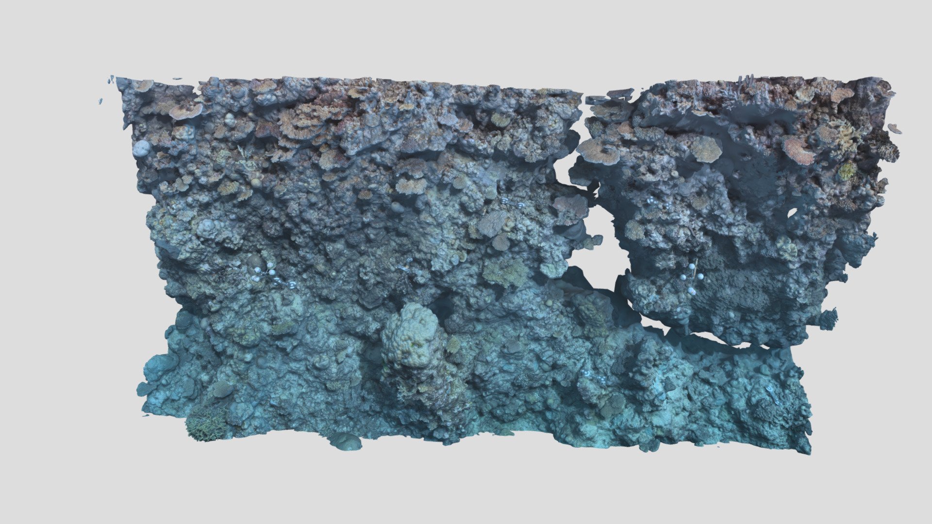 Davies_BA2S_P4_202301 - 3D model by EcoRRAP (@AIMSEcoRRAP) [e658fcf ...