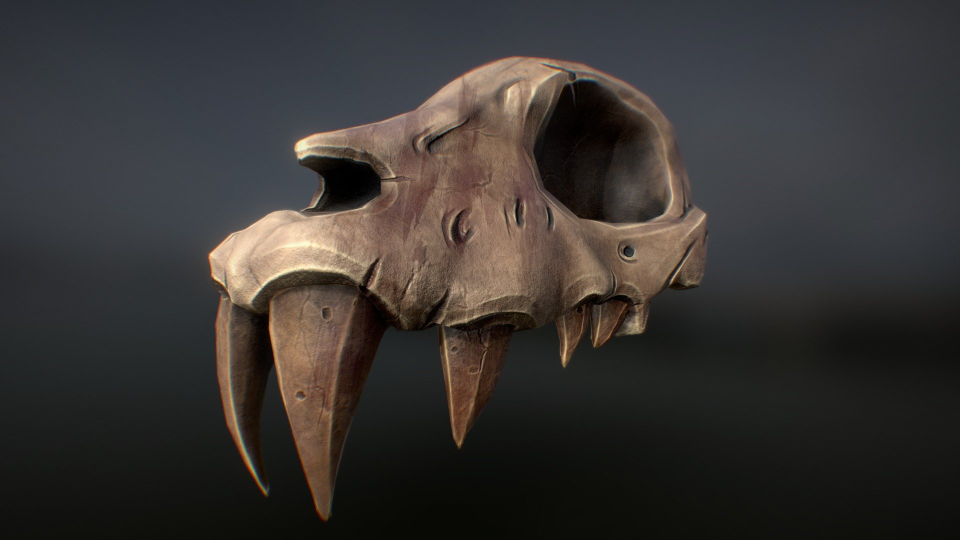 Bat Skull - 3D model by pixamuse [e65de58] - Sketchfab