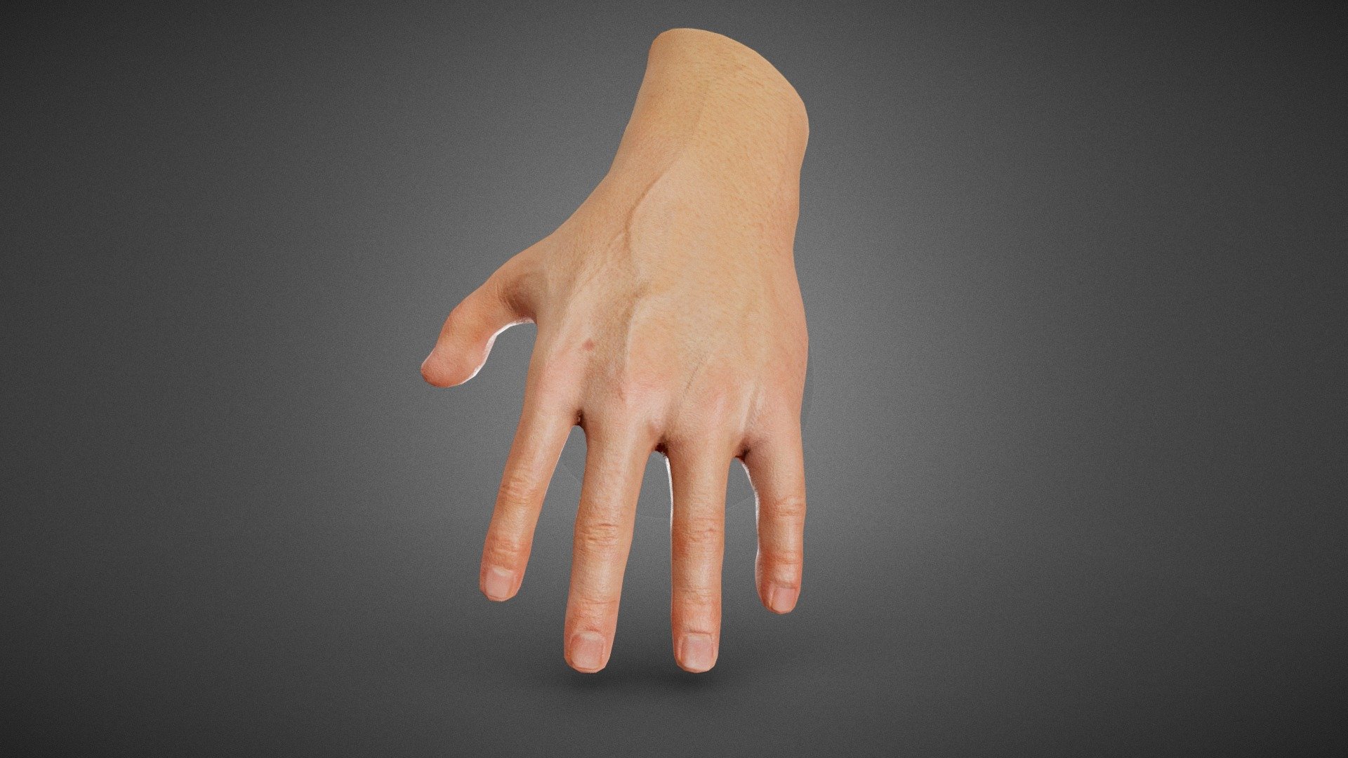 Male Hand Rigged - Buy Royalty Free 3D model by CG StudioX (@CG_StudioX ...