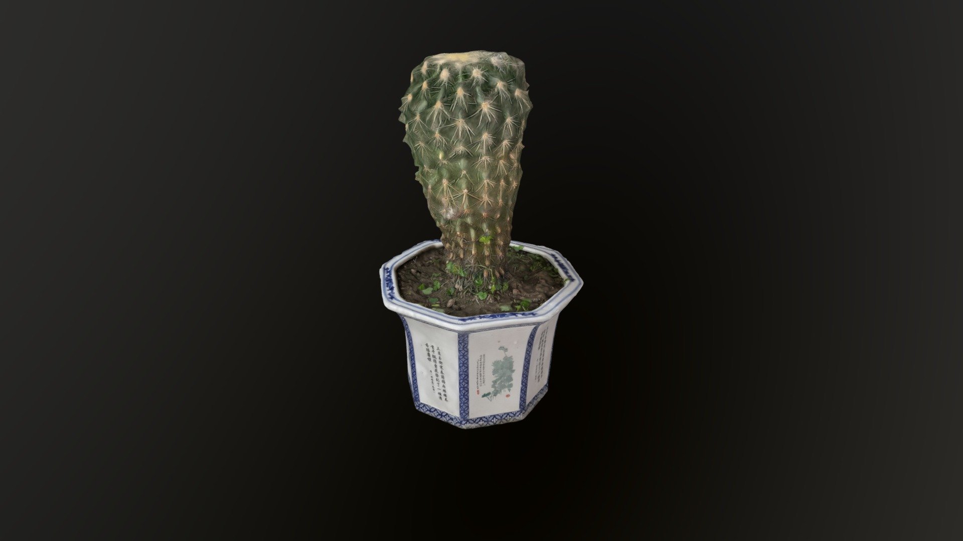 cactus - 3D model by ycpan3468 [e664266] - Sketchfab