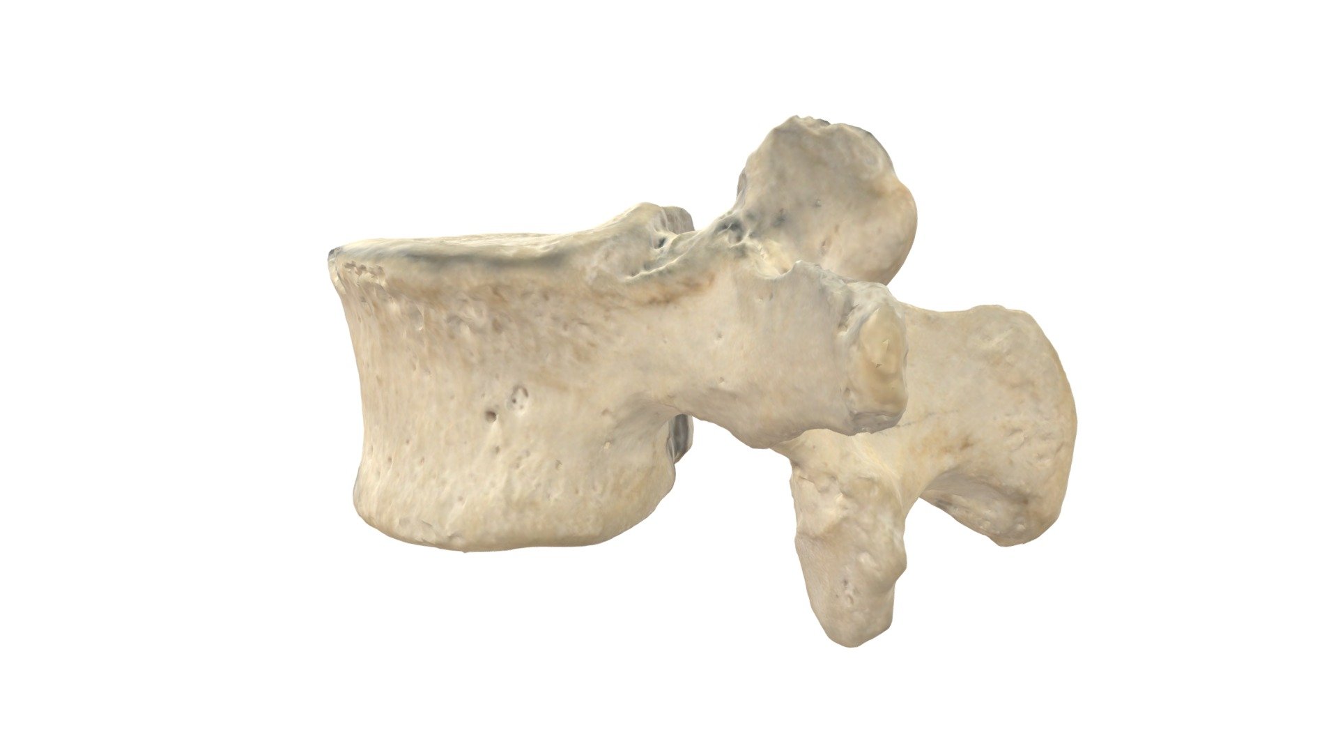 L3 - met annotaties - 3D model by Universiteit Antwerpen (@marjanmaldoy ...