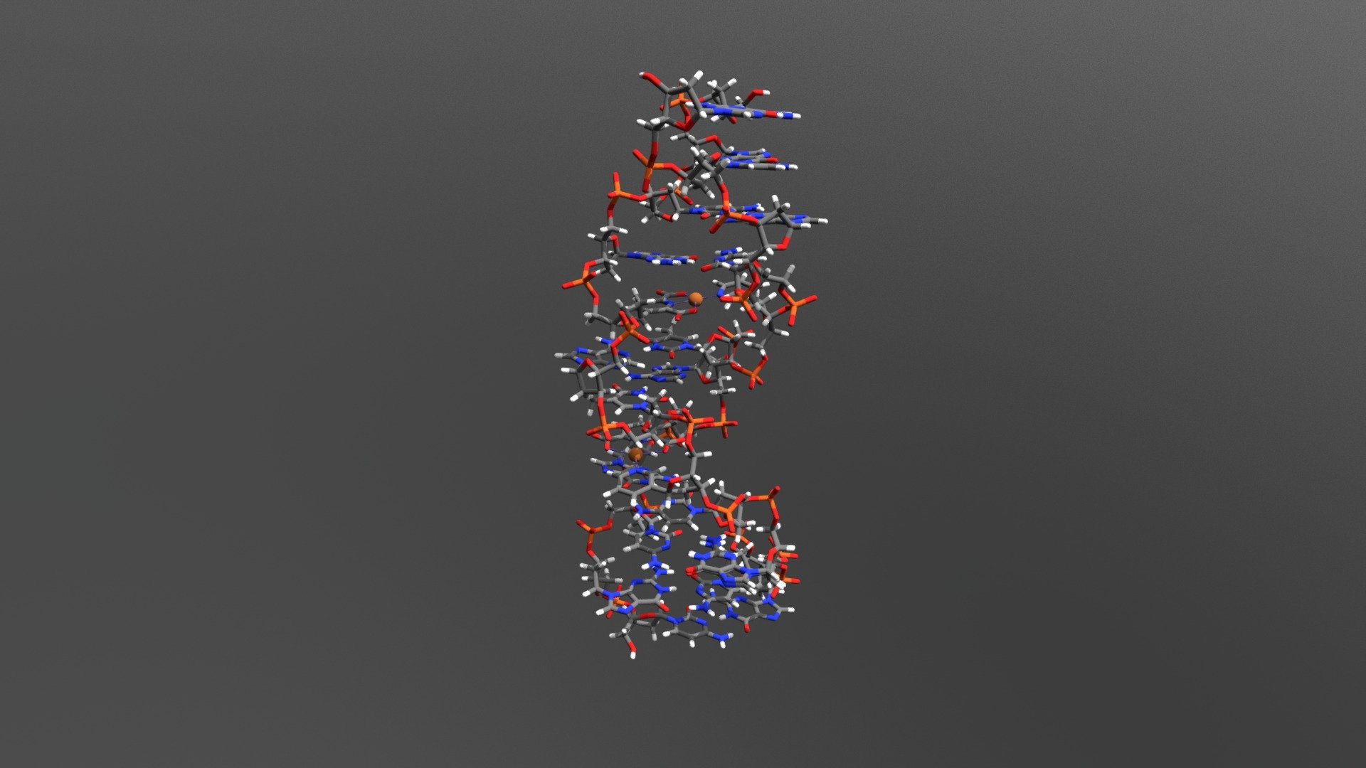Z-DNA - 3D model by cpeyton [e67f22c] - Sketchfab