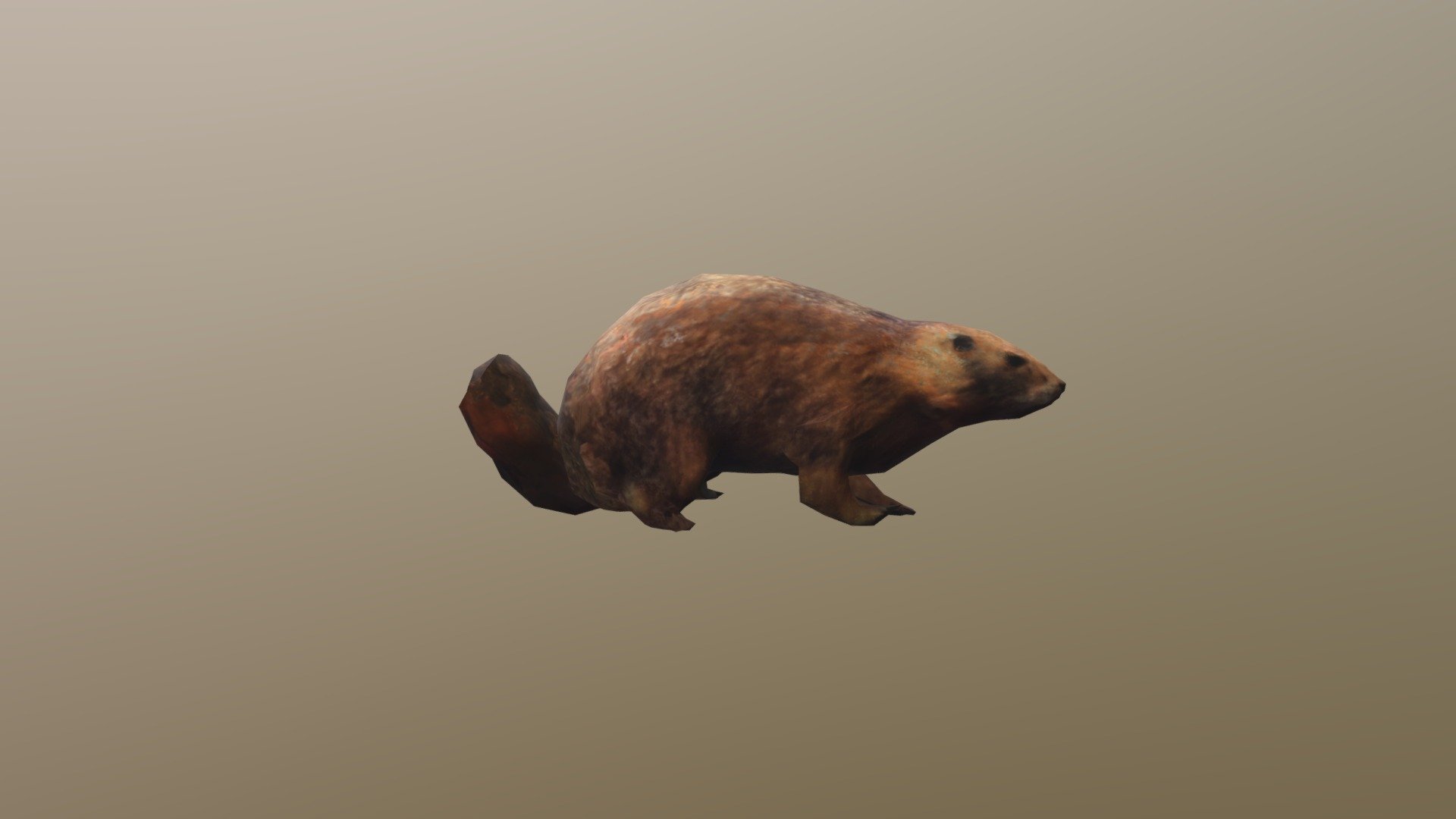 Beaver - Download Free 3D model by David Wigforss (@dwigfor) [e682bf0 ...
