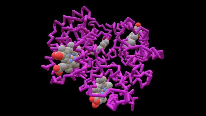 Hemoglobin 3D models - Sketchfab