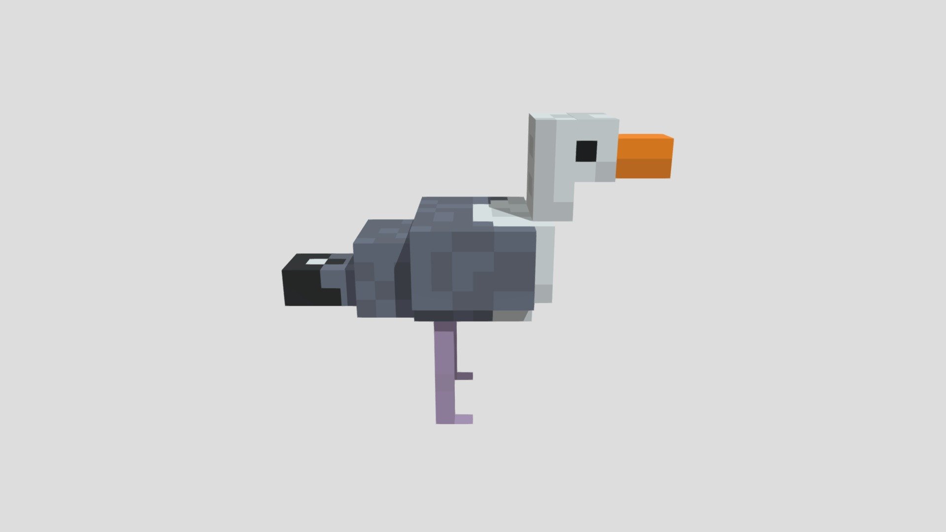 Seagull - Download Free 3D model by NubTaco (@Enderno0b) [e6892b8 ...
